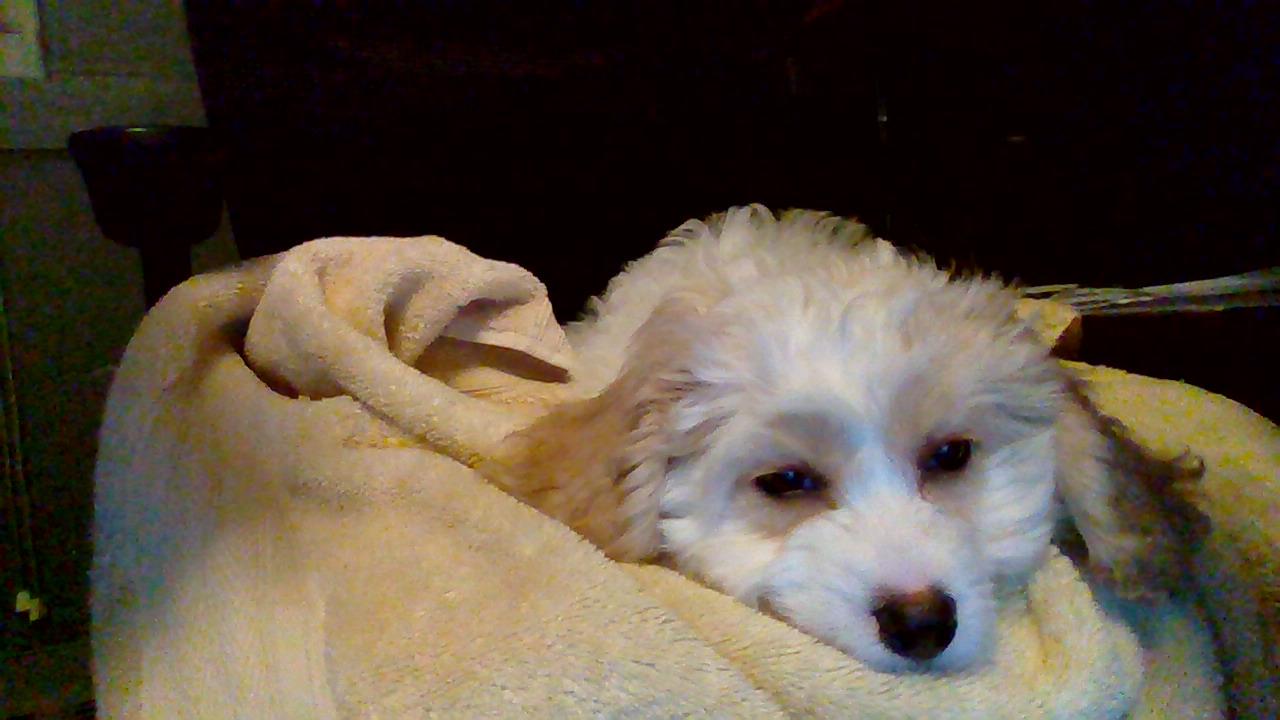 Lazy Jack | Scrolller