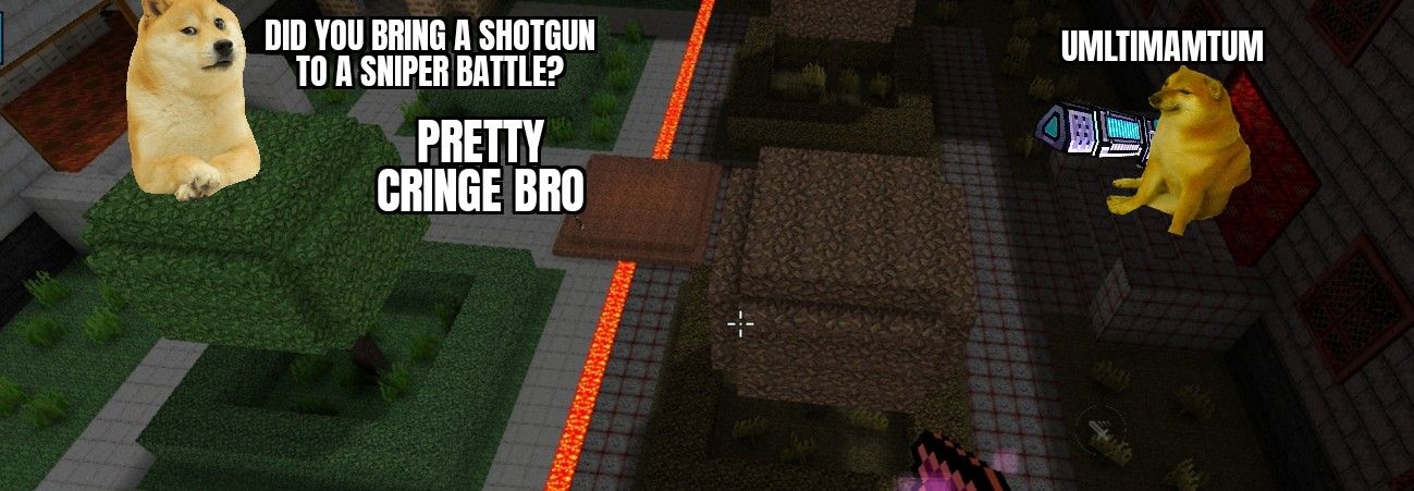 Le doge meme has arrived | Scrolller