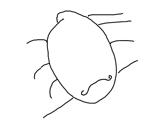 le spoder | Scrolller