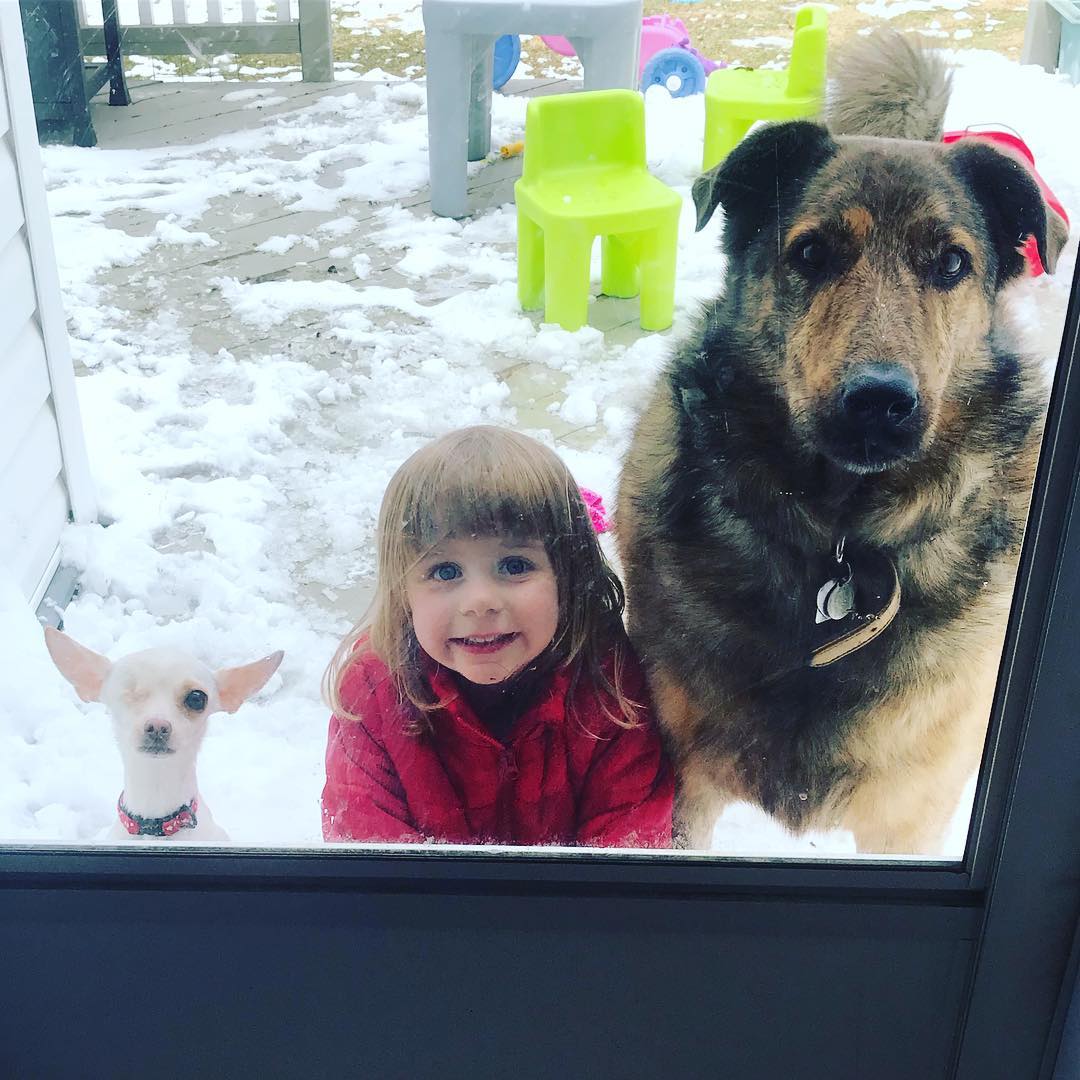 Leader of the pack | Scrolller