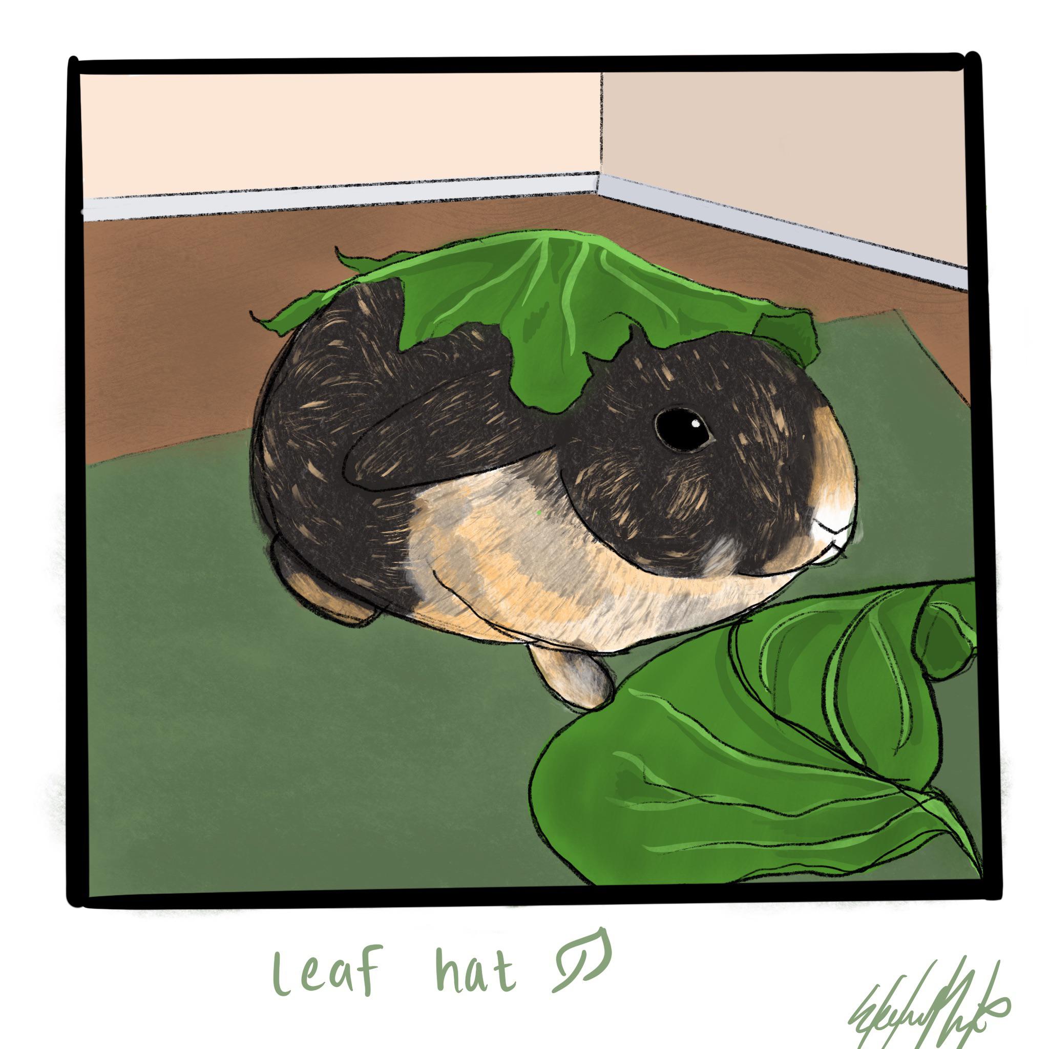 Leaf hat🌿 | Scrolller