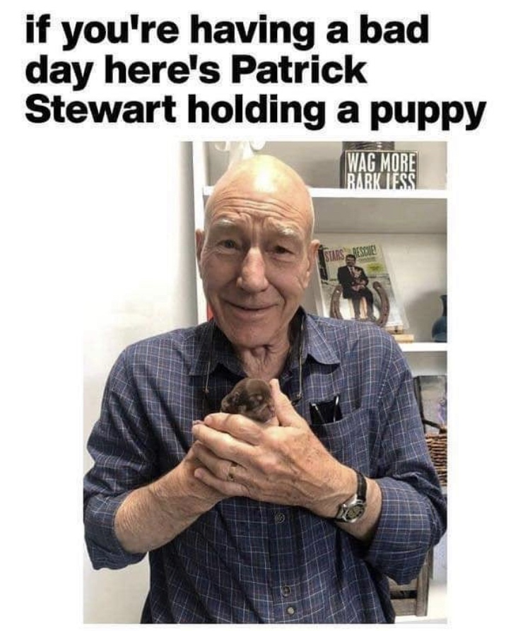 Leaked photo of Patrick Stewart prepping for his cameo in the new Dune movie. | Scrolller