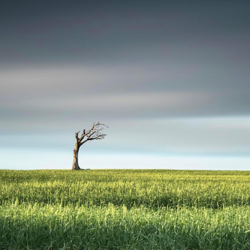 'Lean on the Land', taken in Bangor, Northern Ireland. | Scrolller