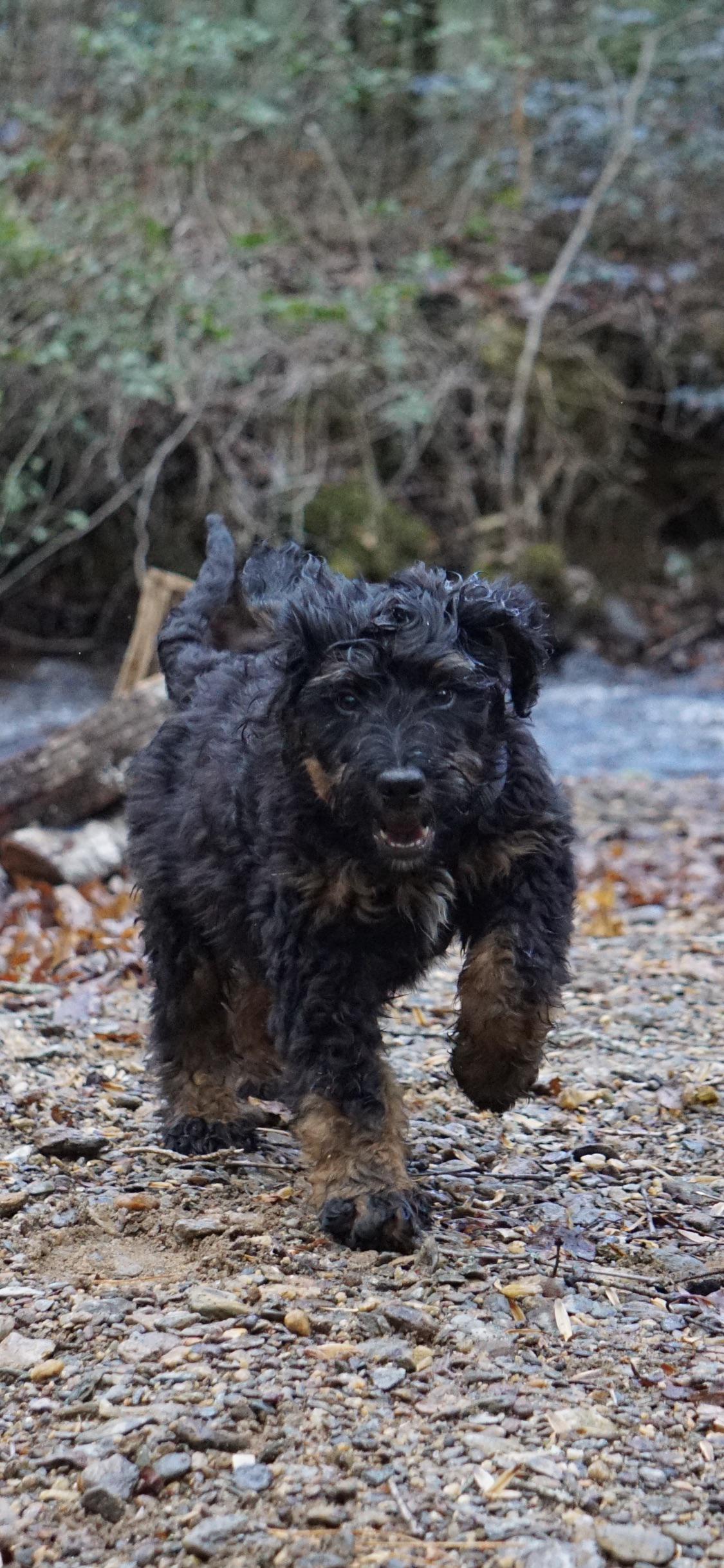 Learning to run. 9wks | Scrolller