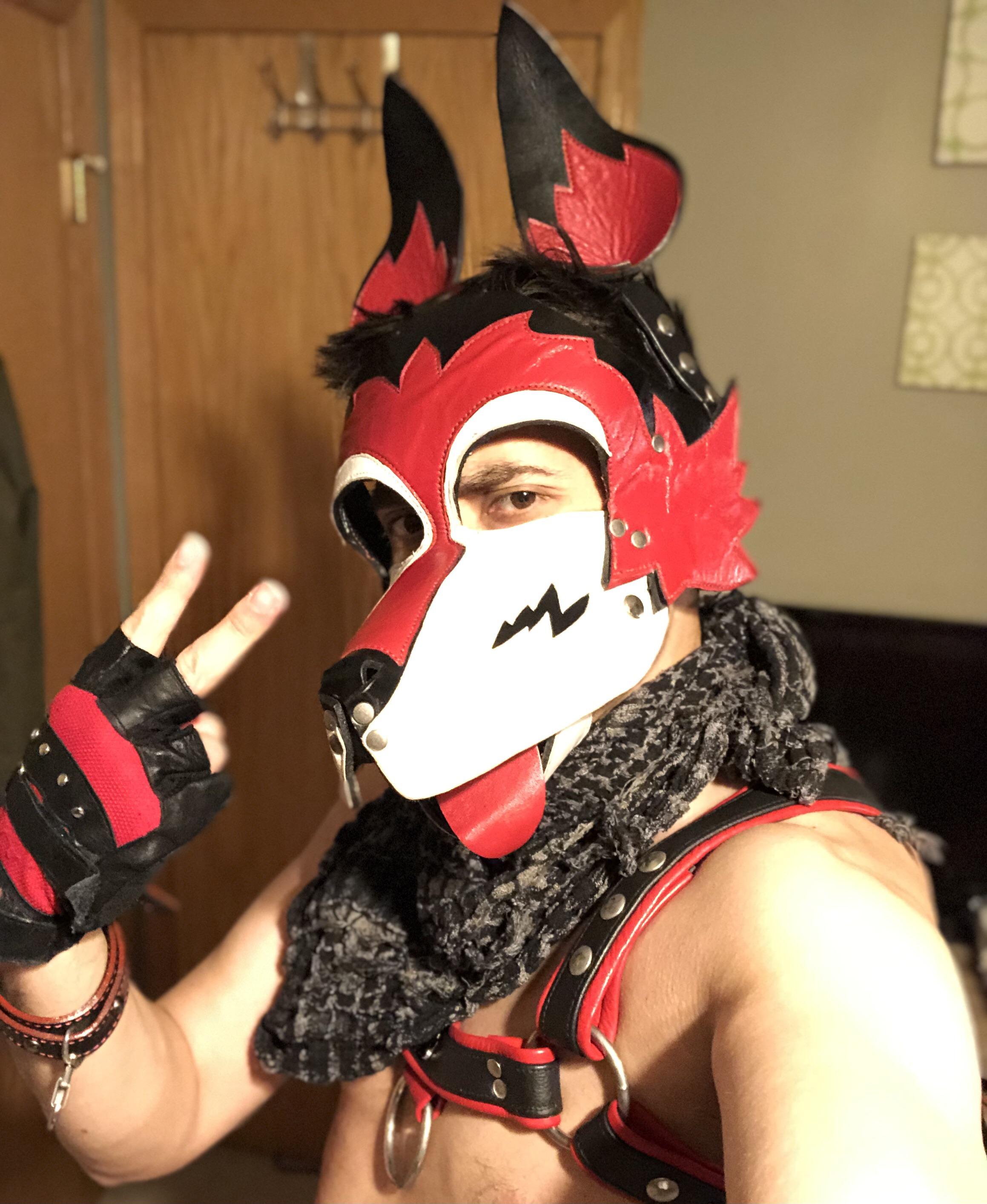 Leather Wolf | Scrolller