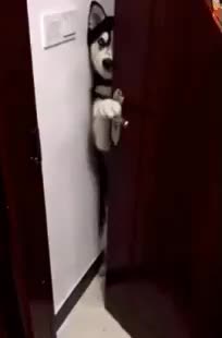 leave me alone, I'm busy | Scrolller