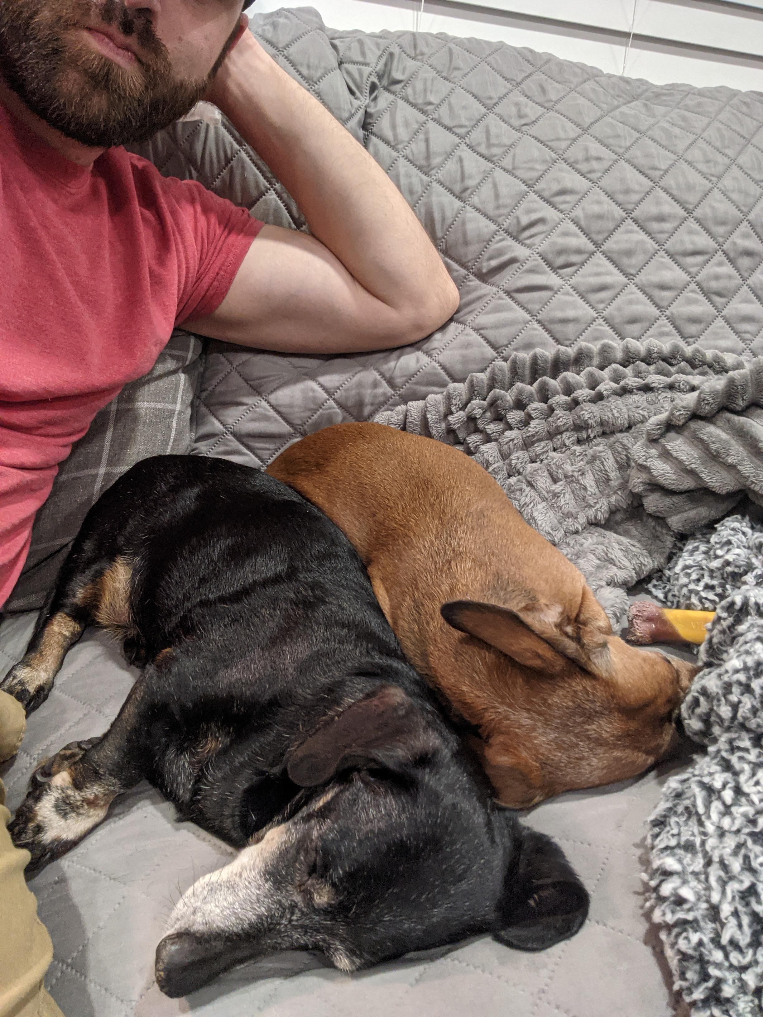 Left to right: 34, 18, and 12. Awww. | Scrolller