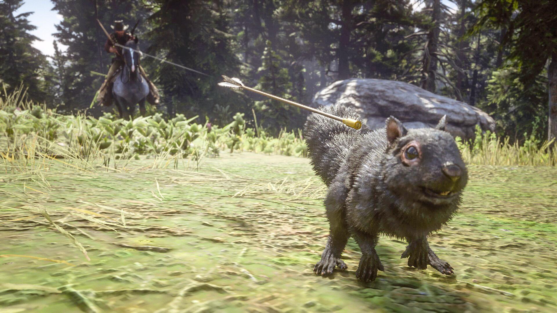 Legendary squirrel | Scrolller