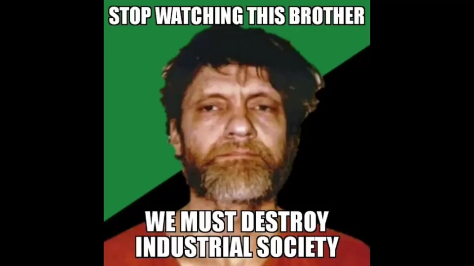 let us do it brother | Scrolller