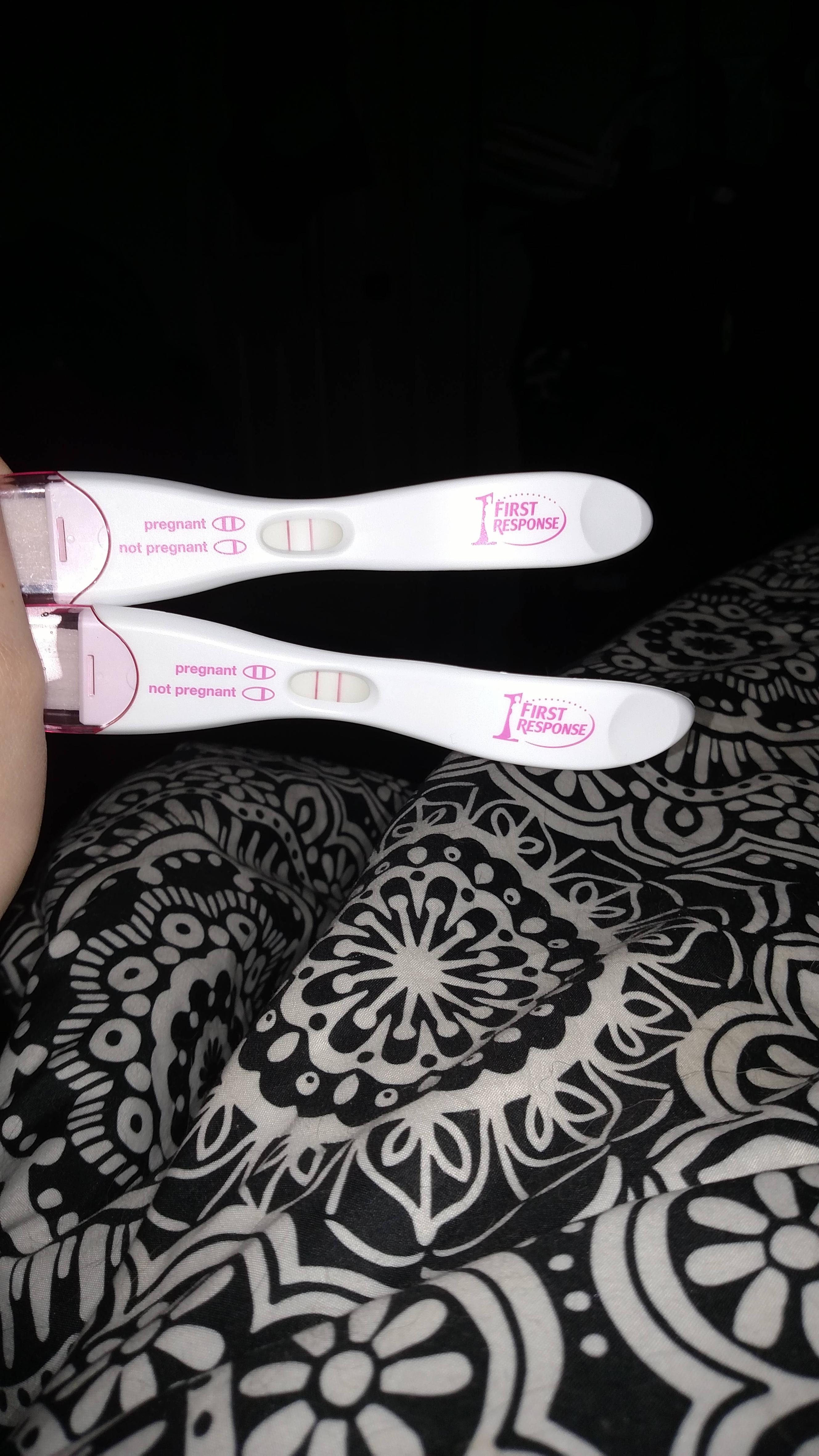 Let's do this thing. | Scrolller