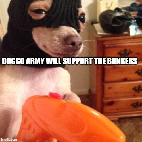 LET'S GO BONKERS!! | Scrolller