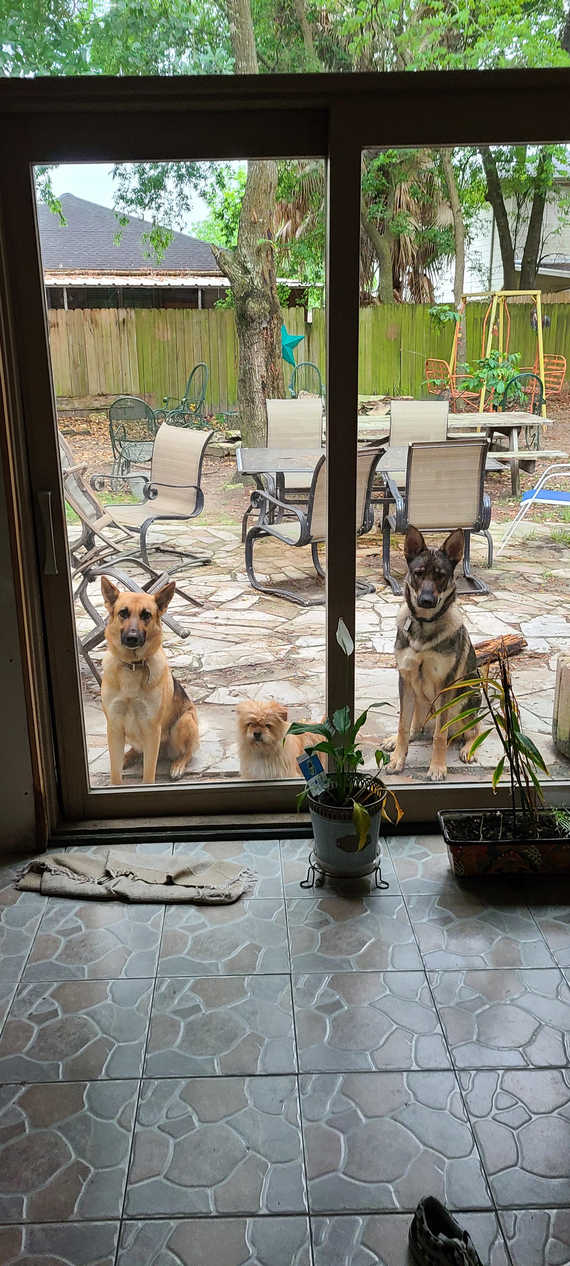 Let's play spot the 8 month old | Scrolller