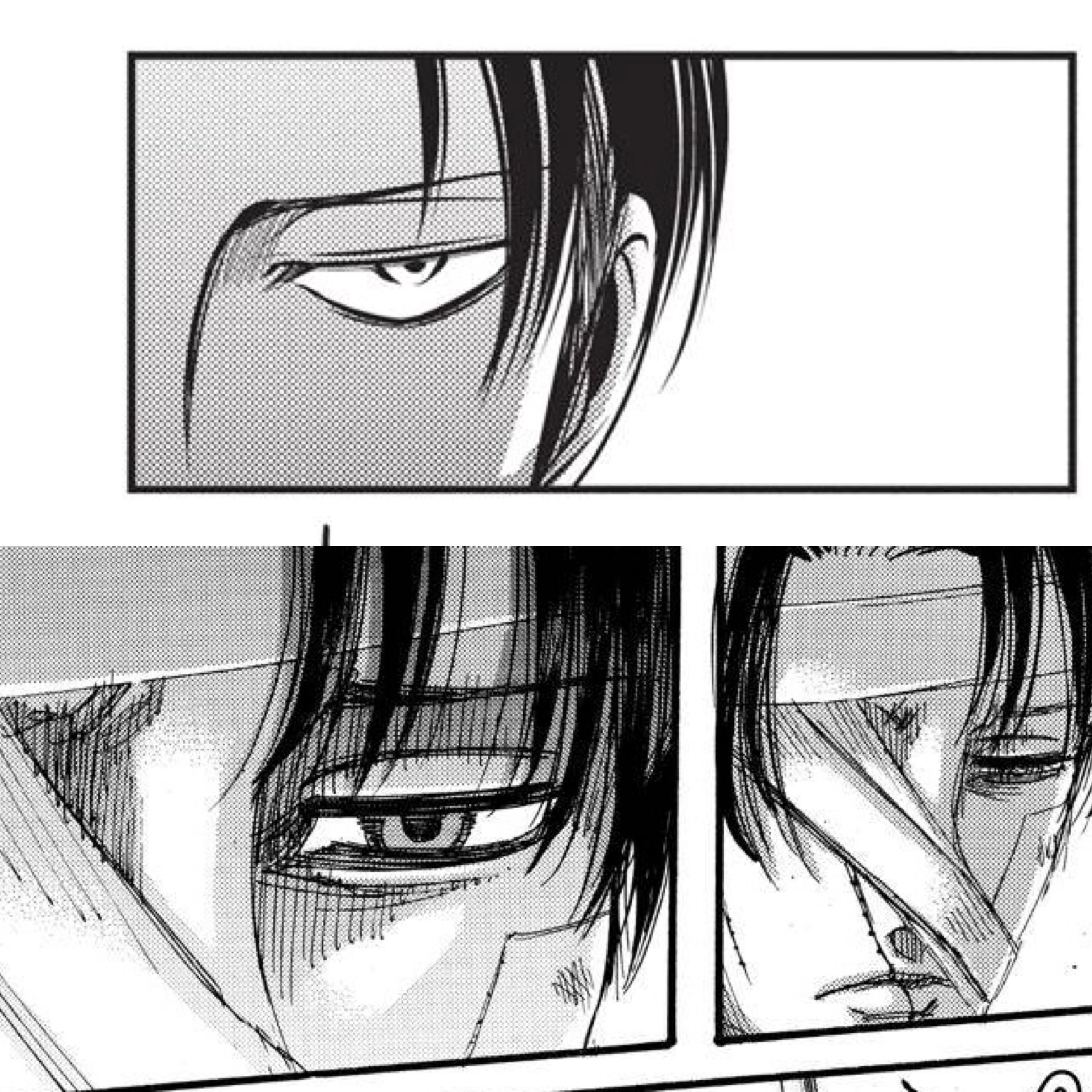 Levi looking at Hange for the first time vs the last. | Scrolller