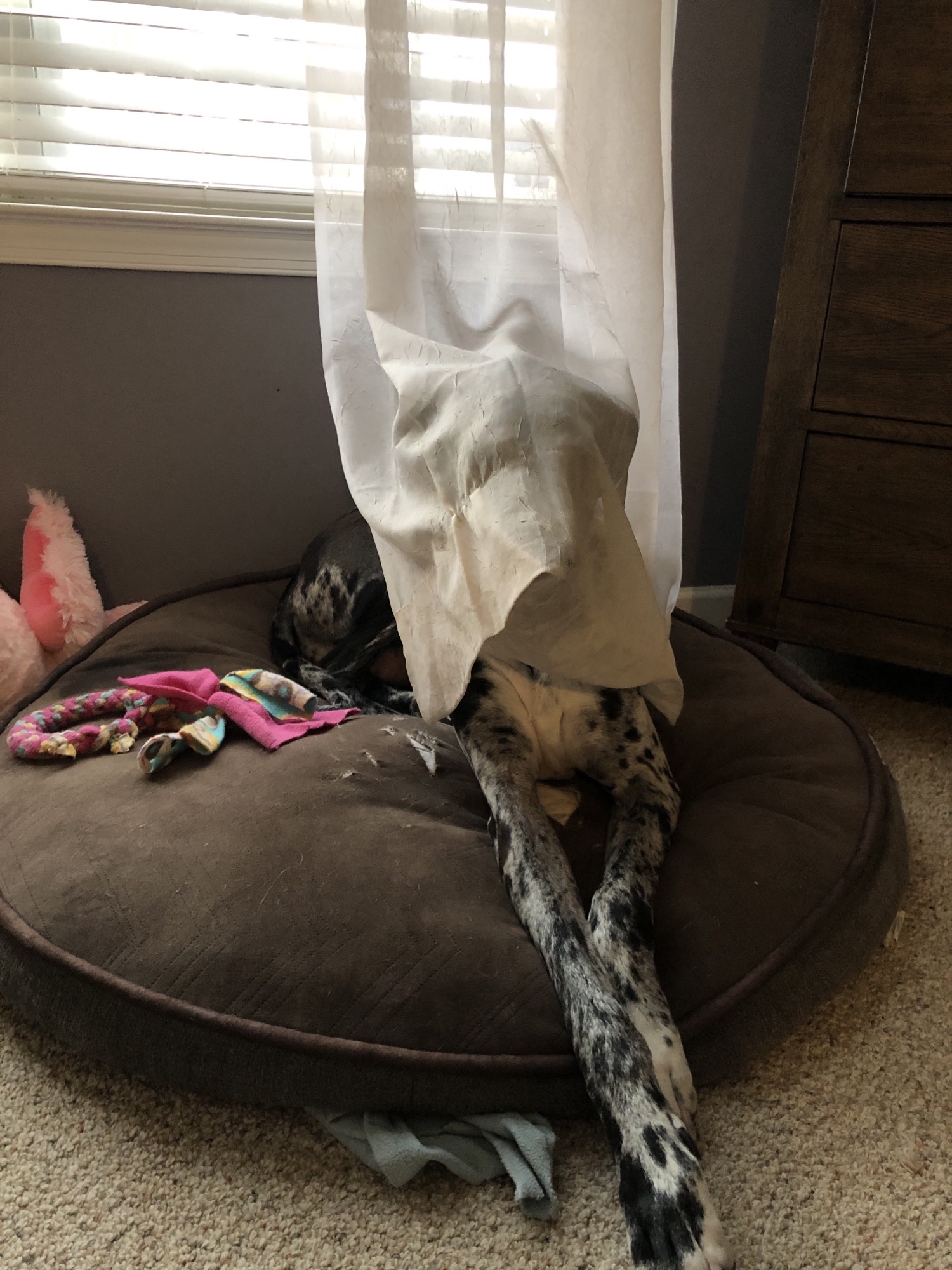 Libby? Haven’t seen her. | Scrolller