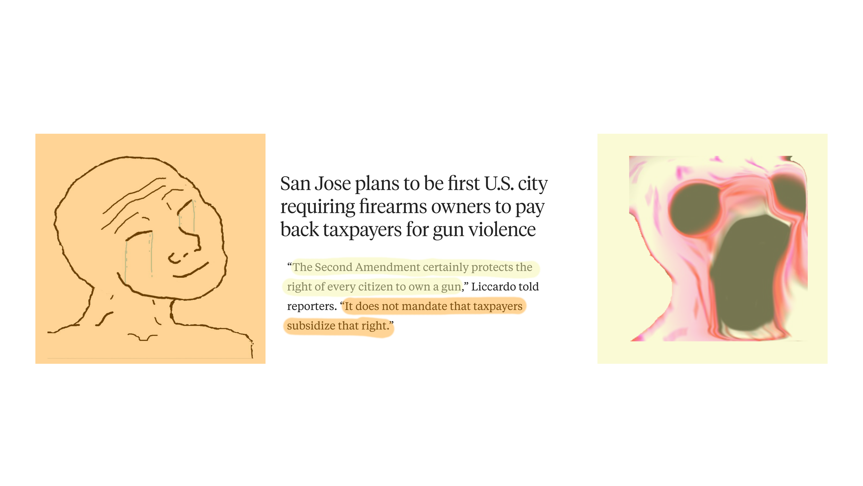 Libright's worst nightmare: infringing on gun rights through taxes | Scrolller