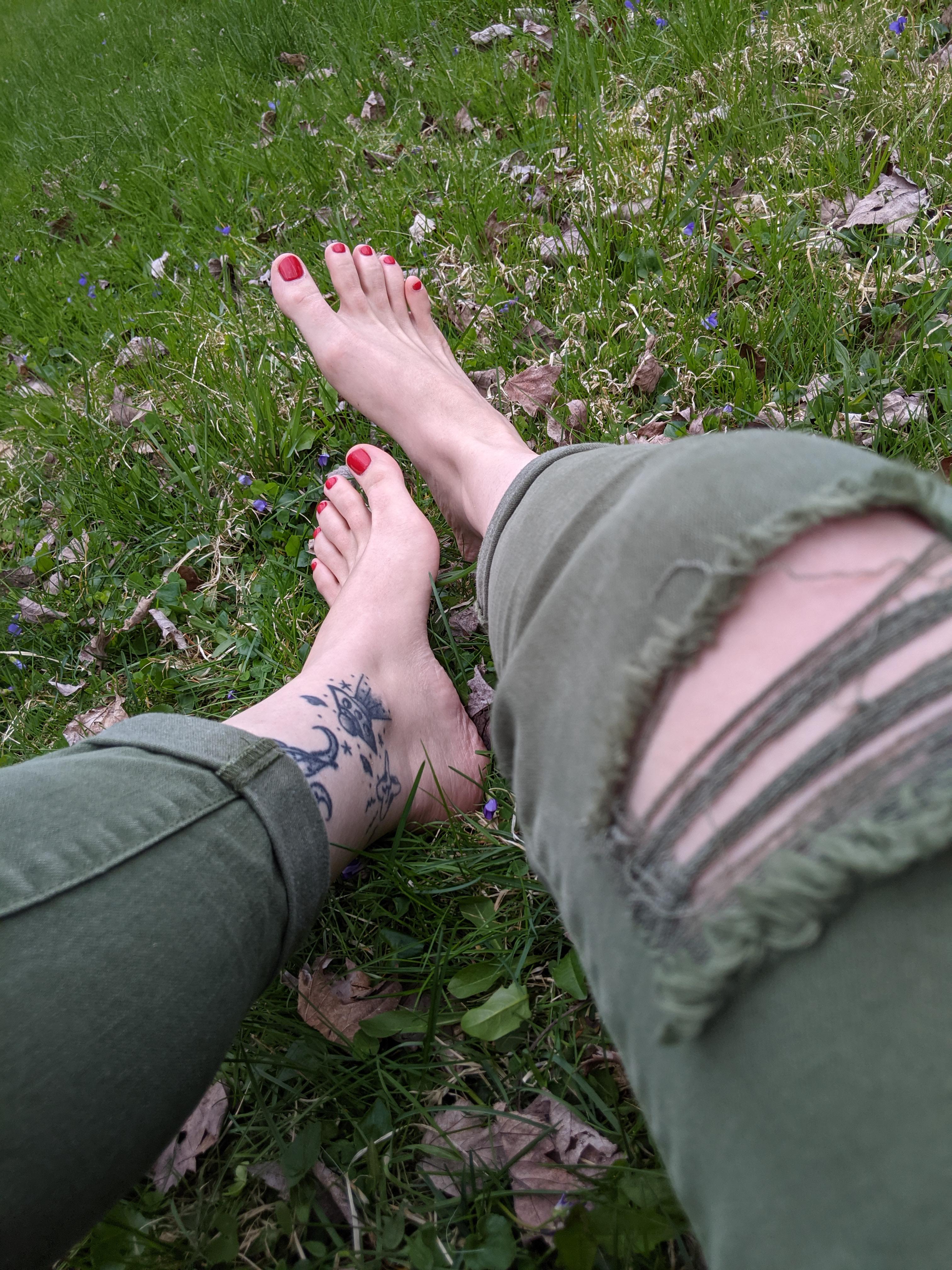 Lick them in the meadow 👅 | Scrolller