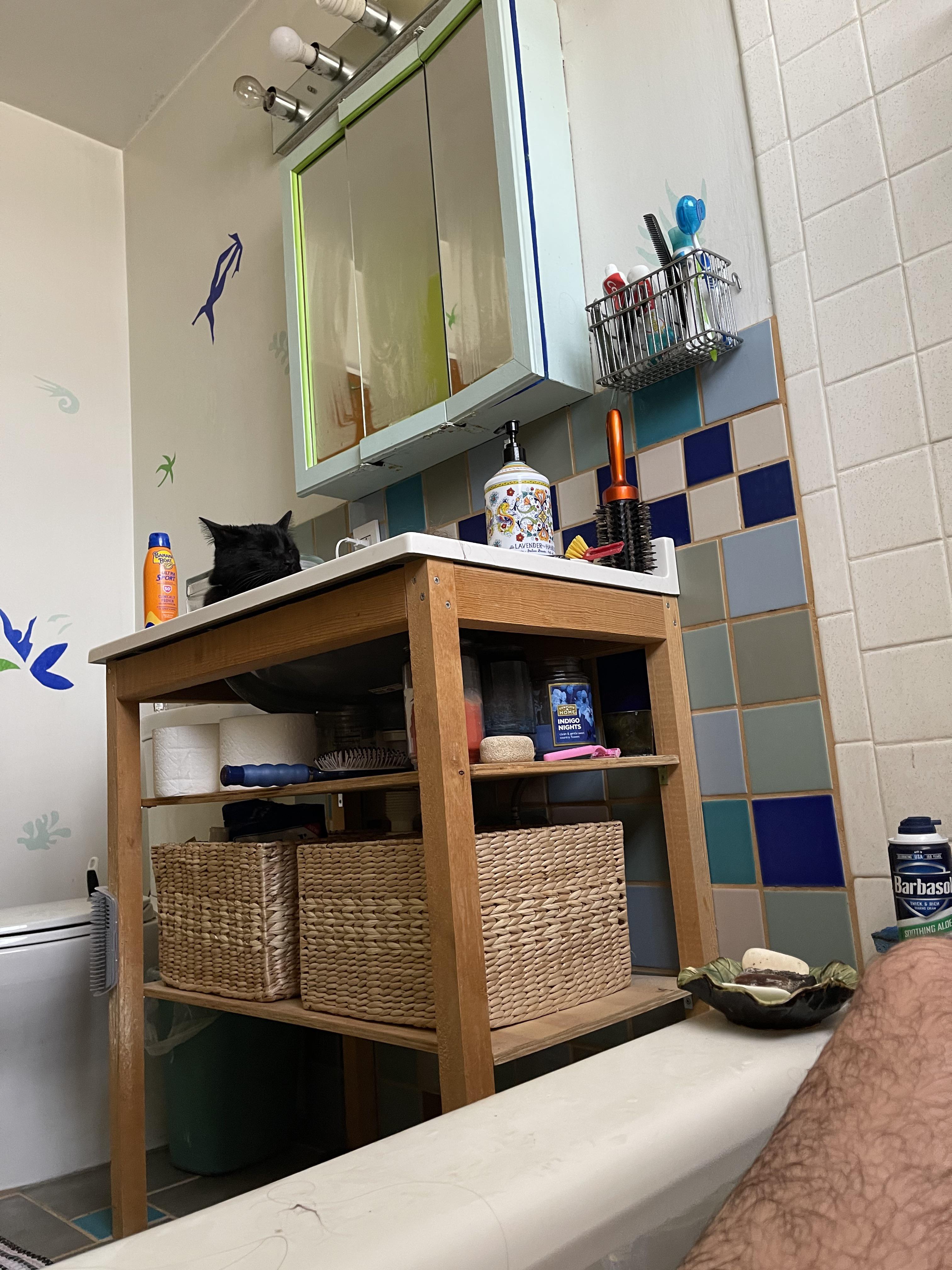 Lifeguard on duty | Scrolller