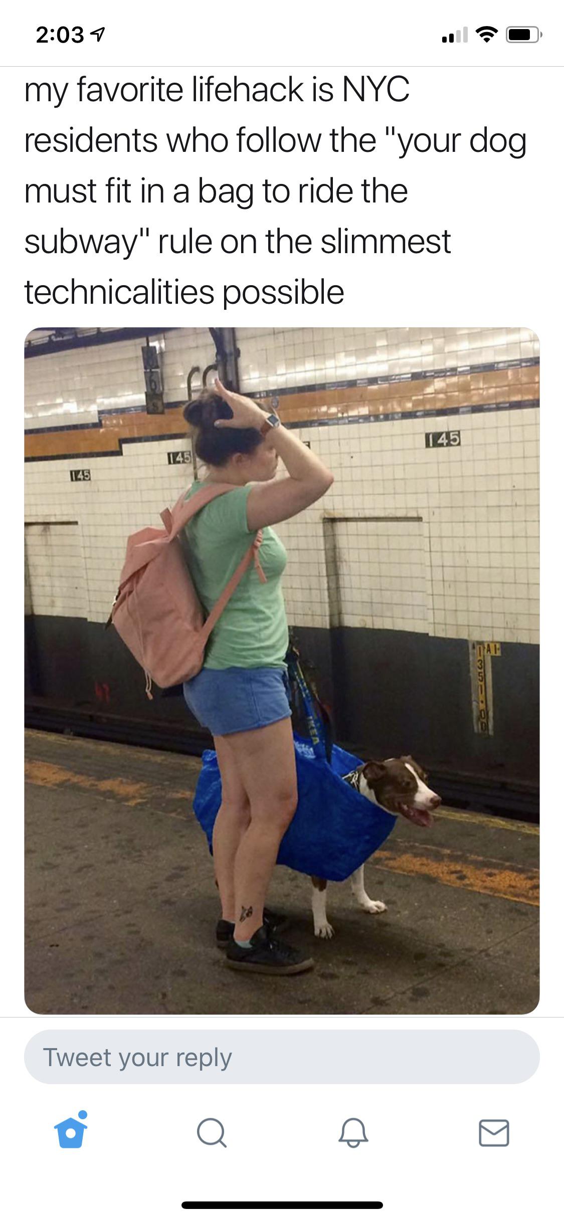 Lifehack | Scrolller