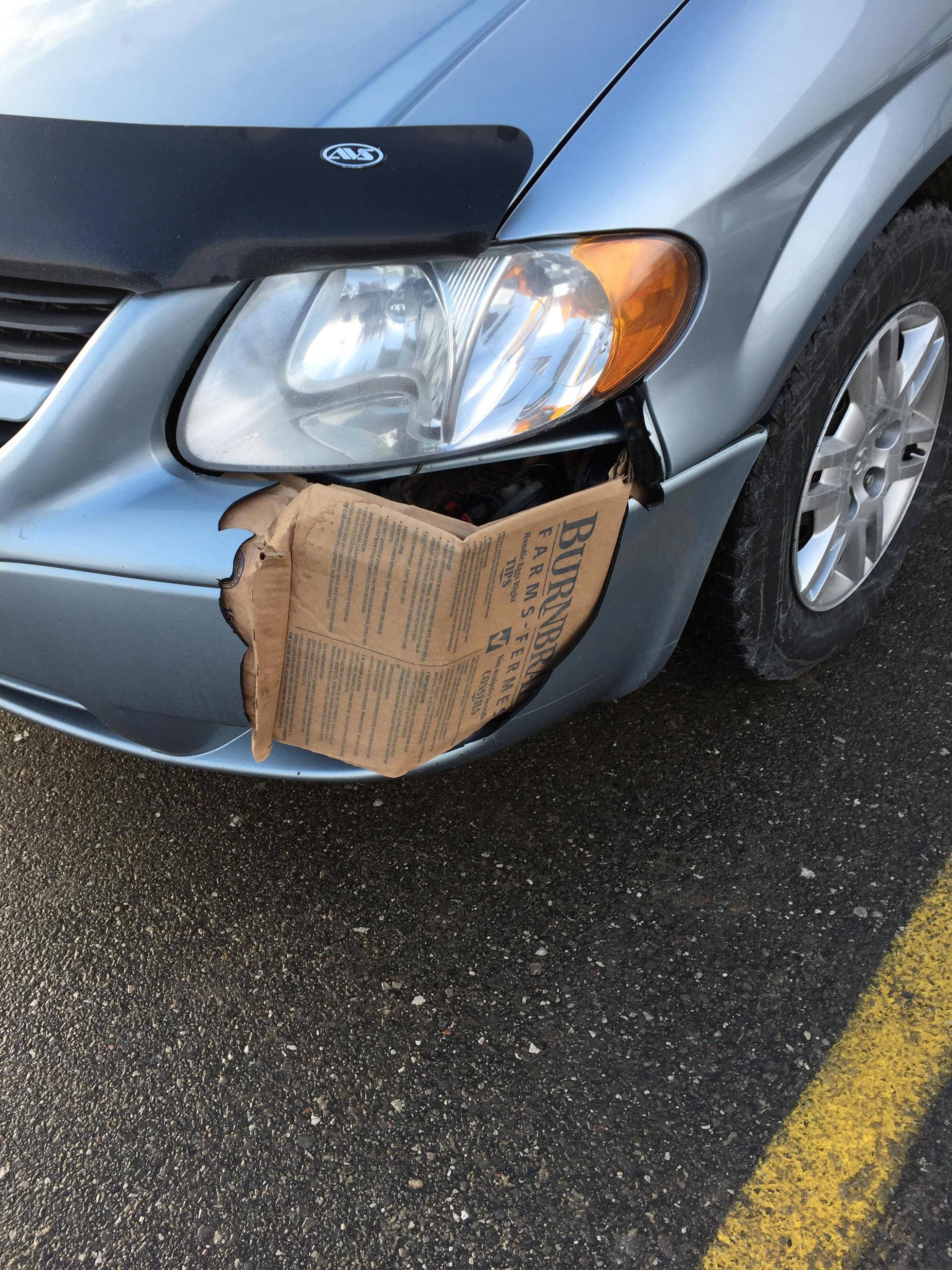 Like it never happened | Scrolller