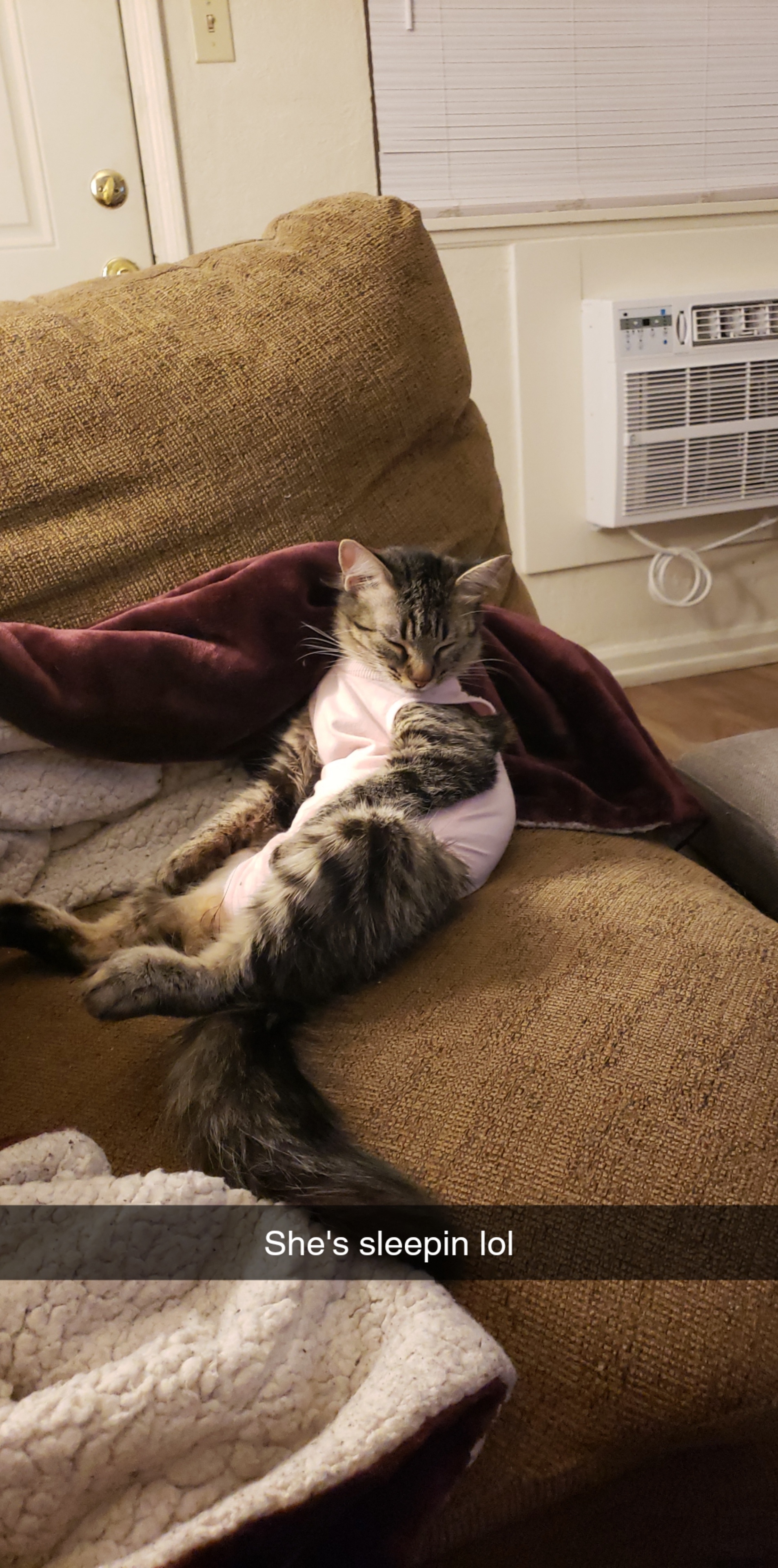 Lil Onesie Scrolller
