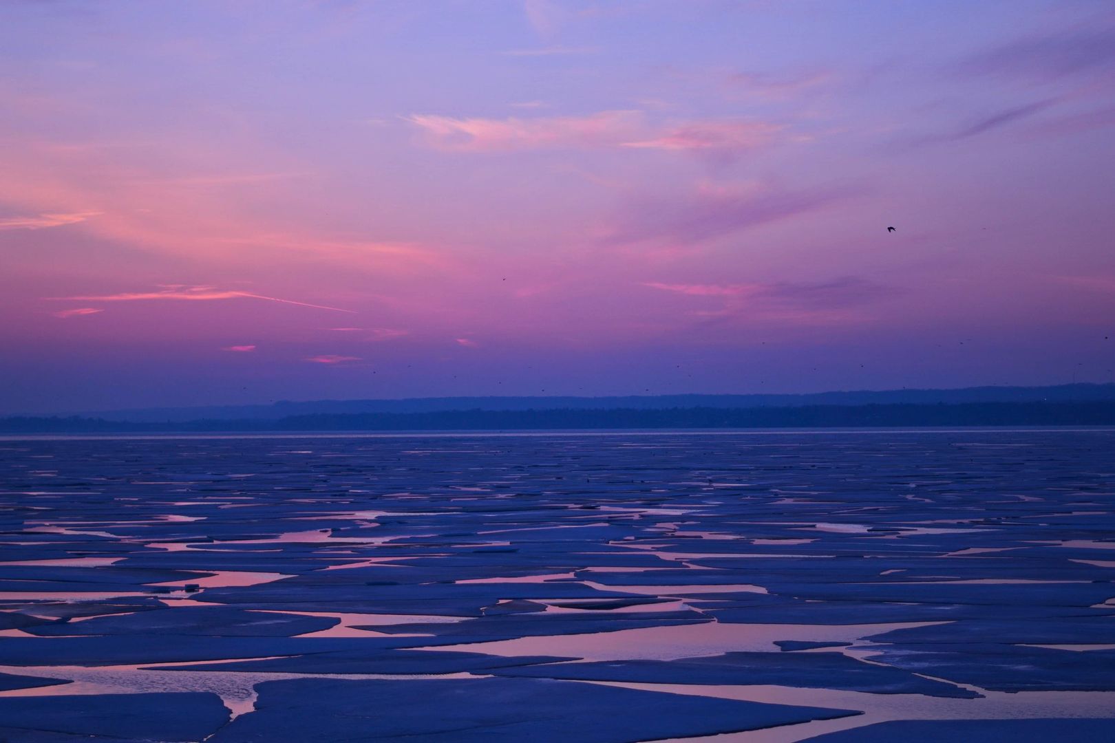 Lilac sky minutes before the sun set in Toronto, ON | Scrolller