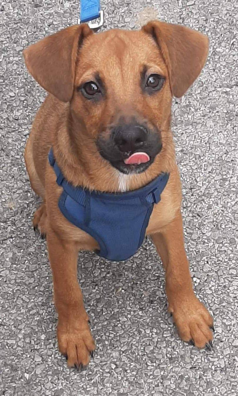 Lilith Marie | Scrolller