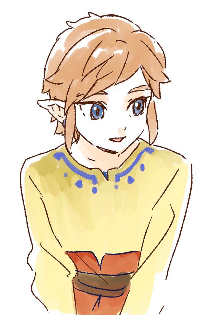 Link from the sky | Scrolller