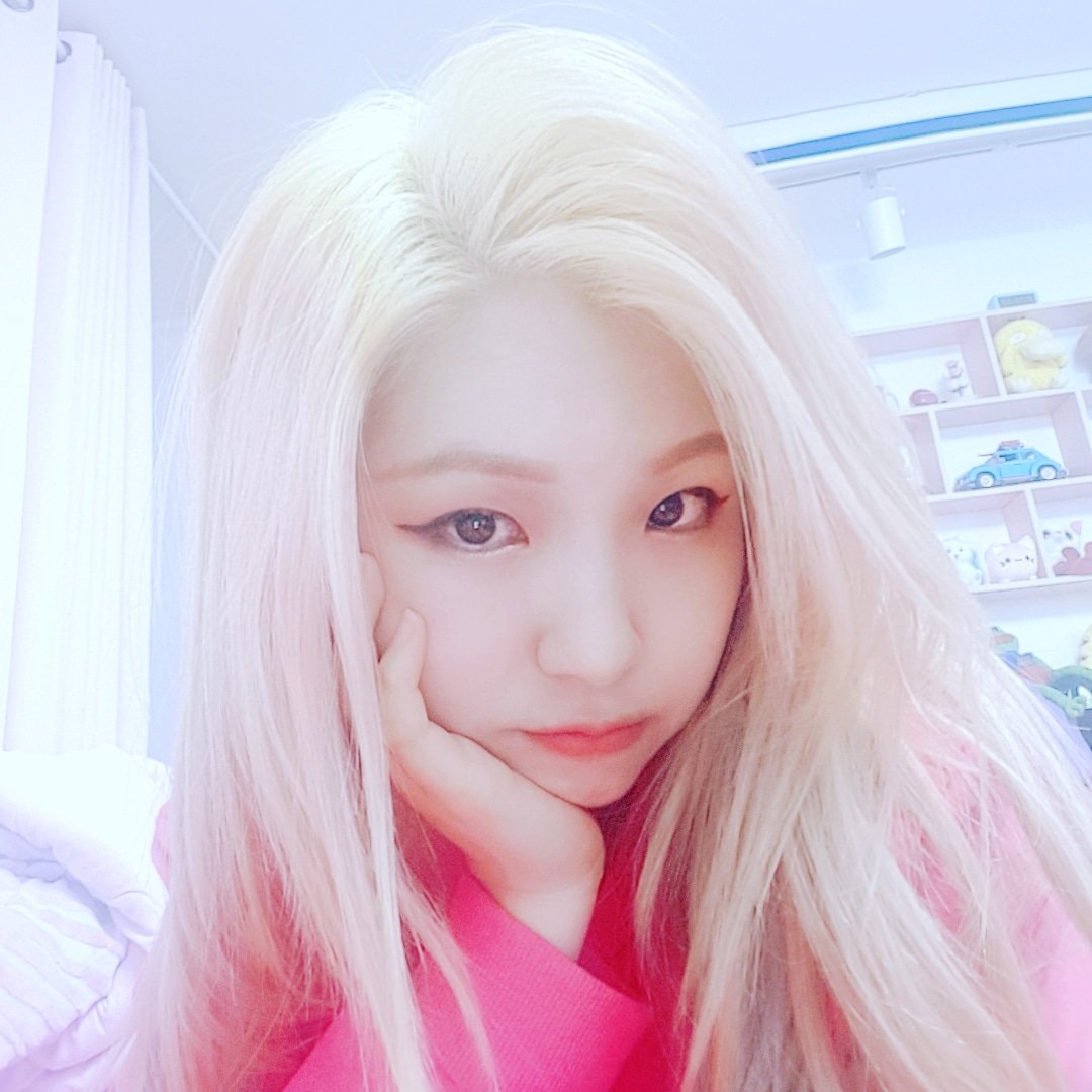 Lion HAchubby | Scrolller