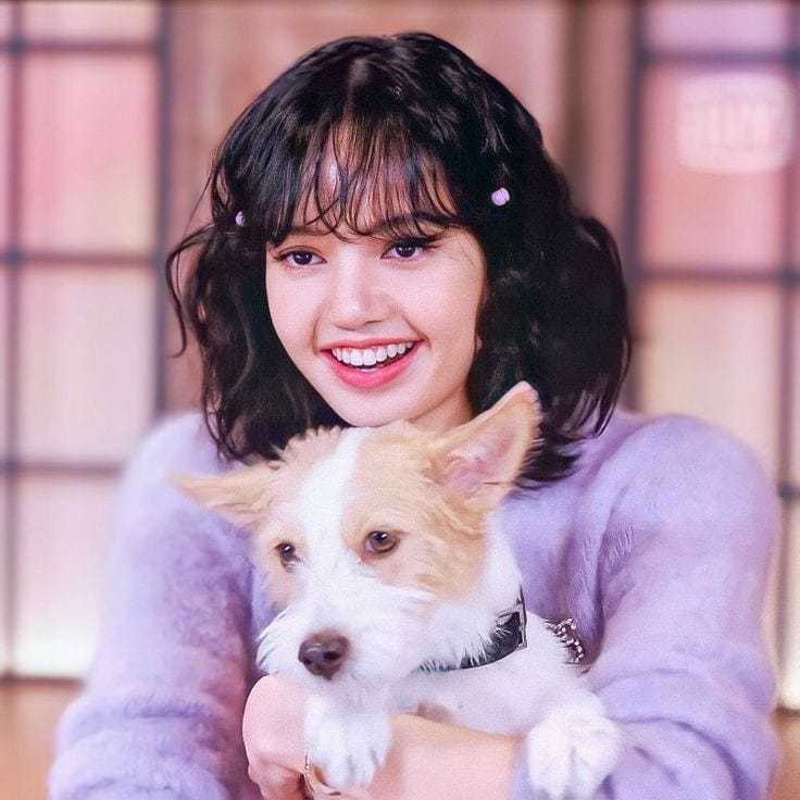 Lisa X Hank | Scrolller