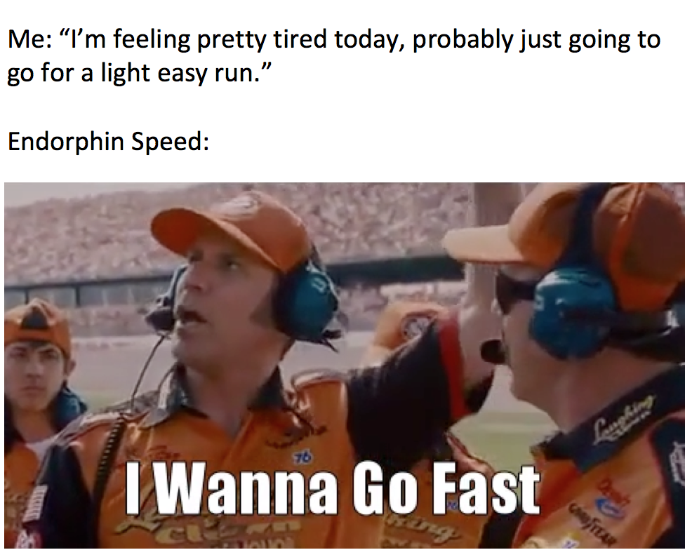 Literally every time | Scrolller