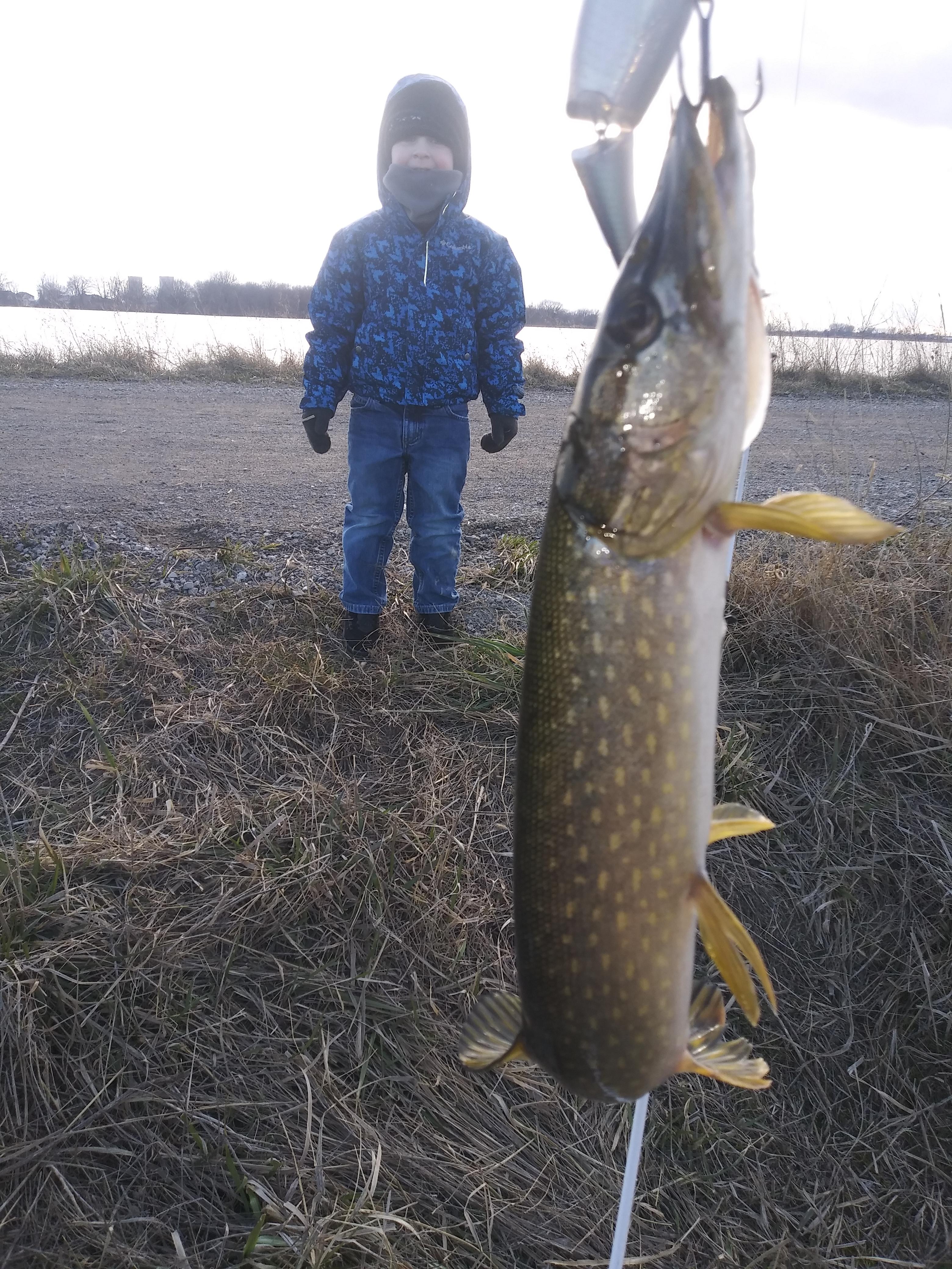 Little 18 inch Pike caught in Michigan. First time my son has seen a toothy fish. | Scrolller