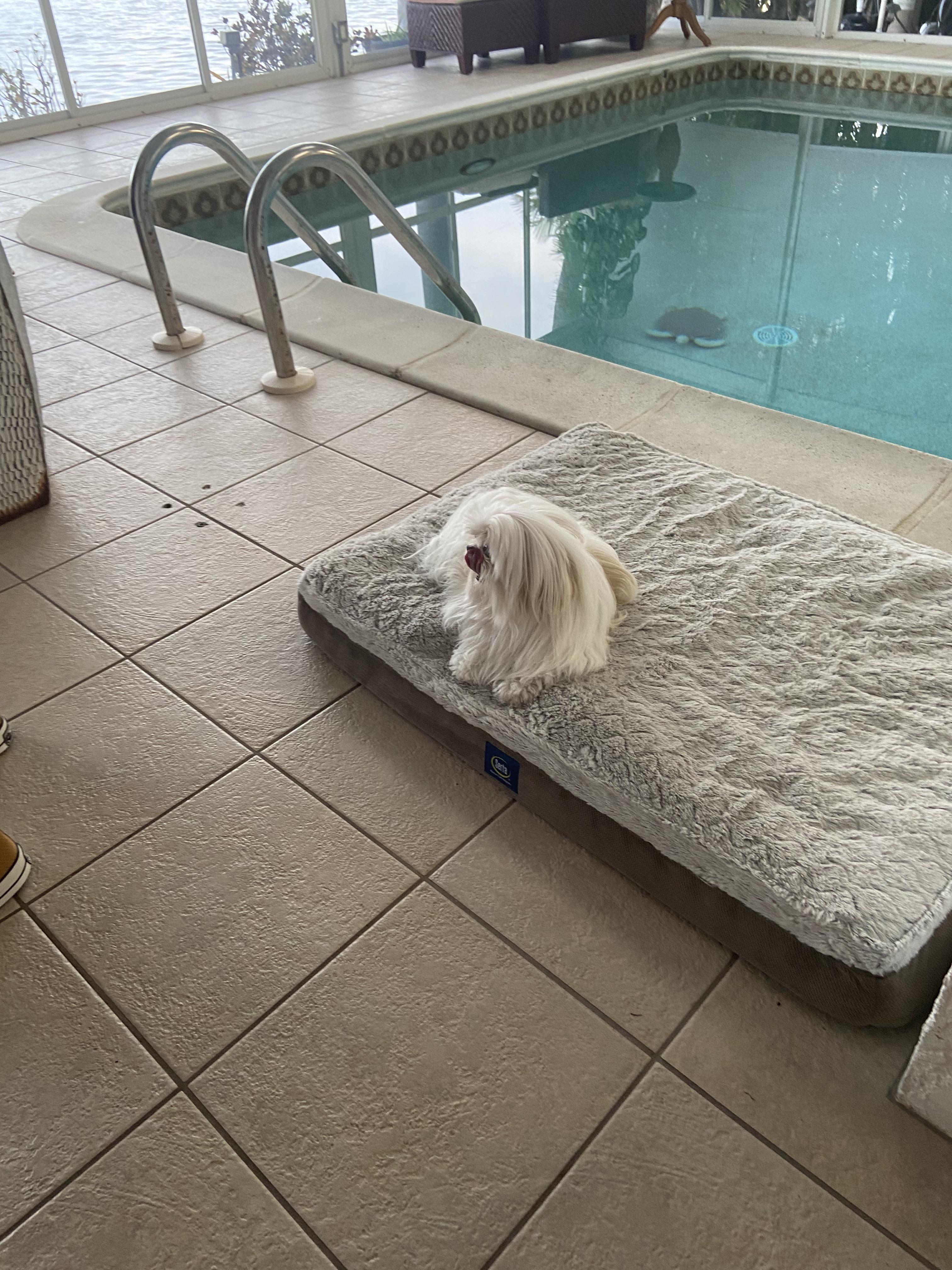 Little bean | Scrolller