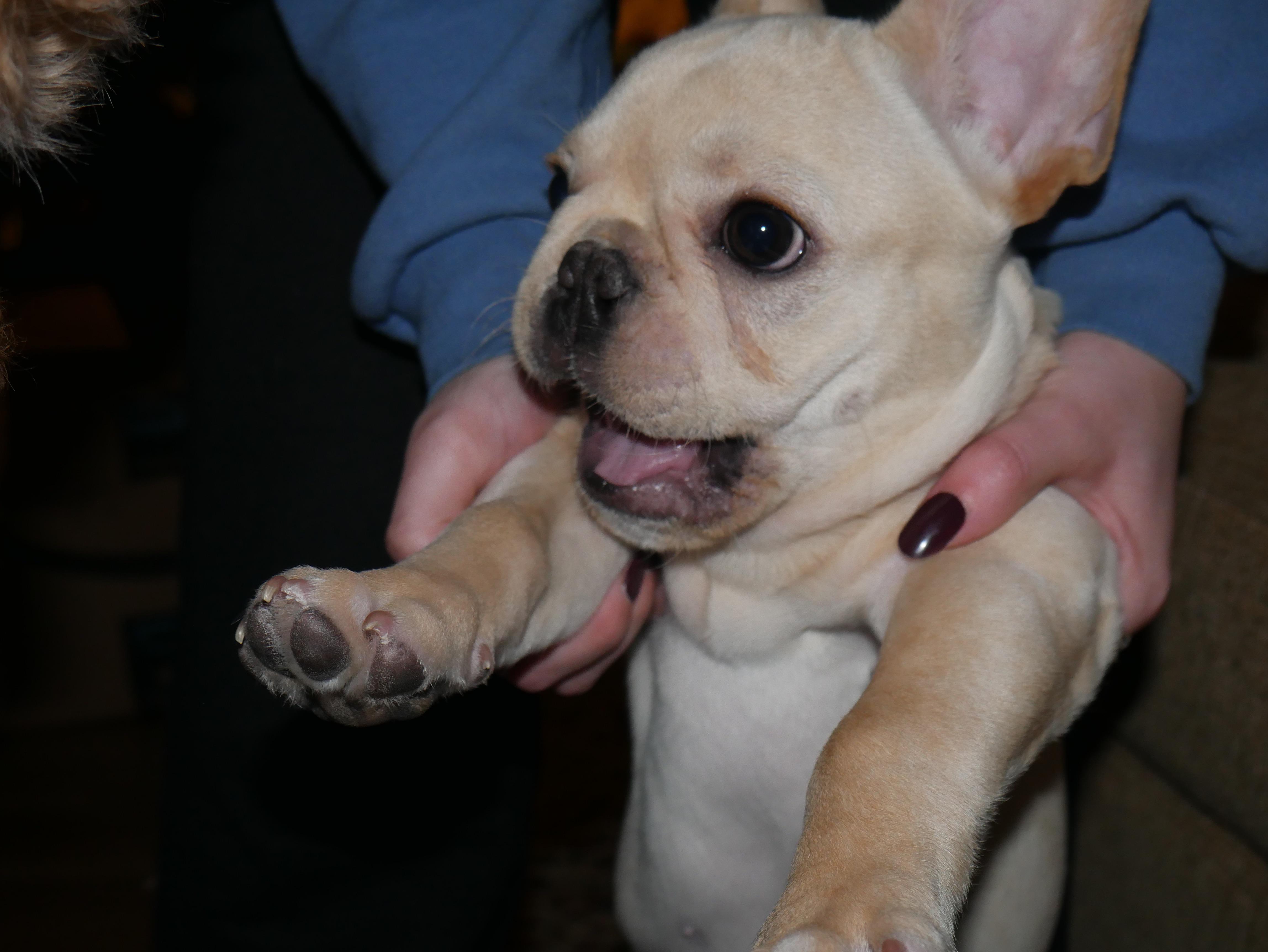 little guy | Scrolller