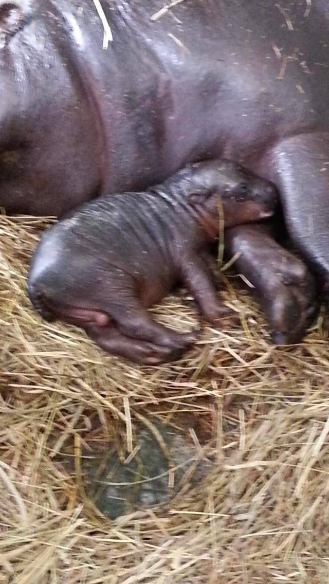 Little guy | Scrolller