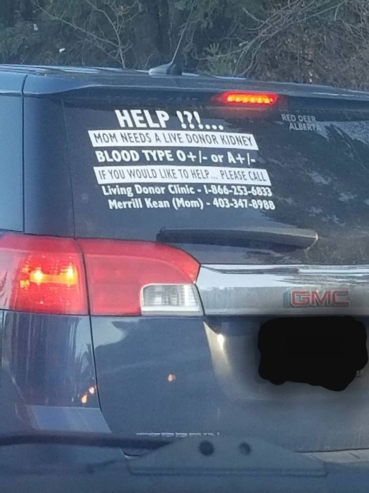 Little Help Needed | Scrolller