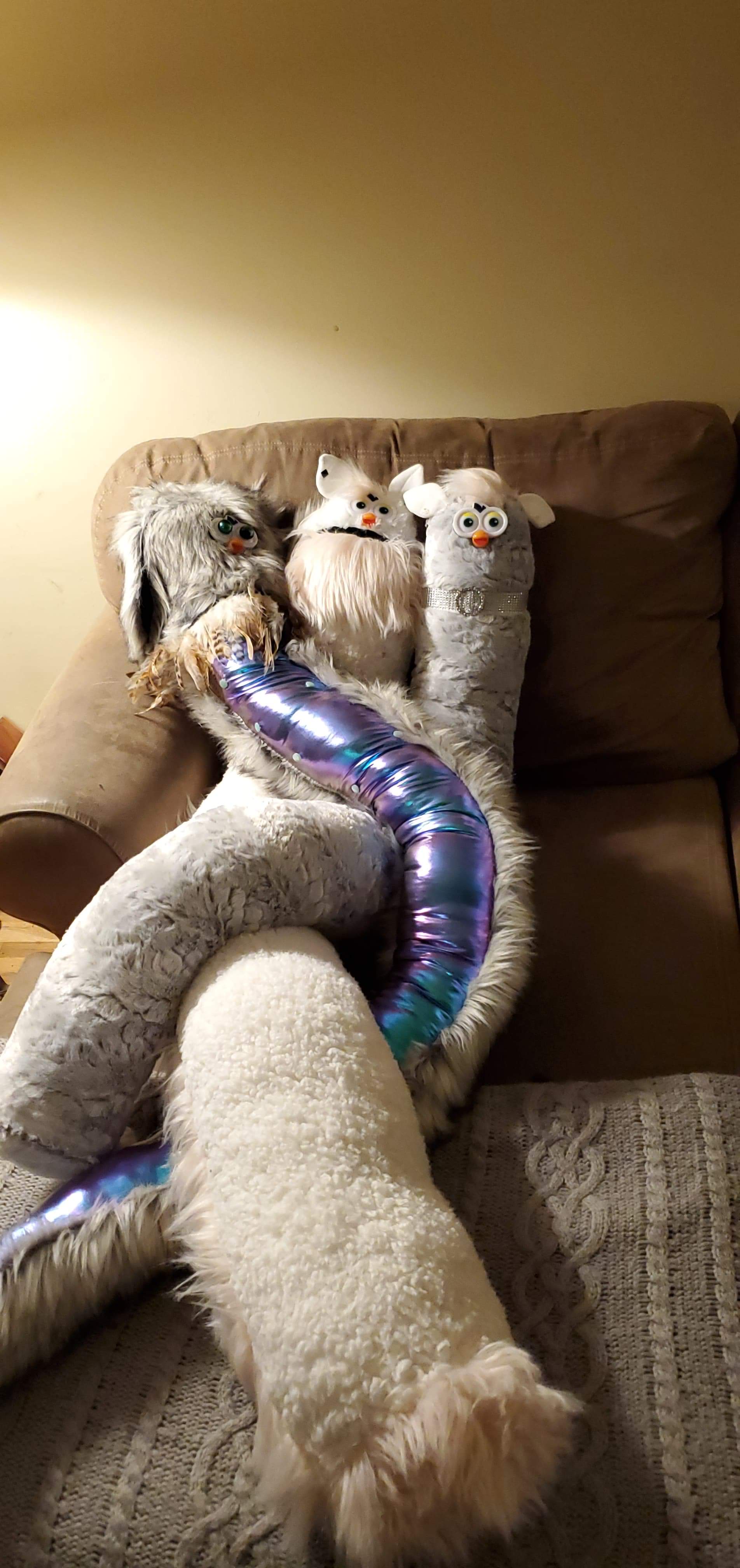 Little known fact: long furbies are pack creatures | Scrolller