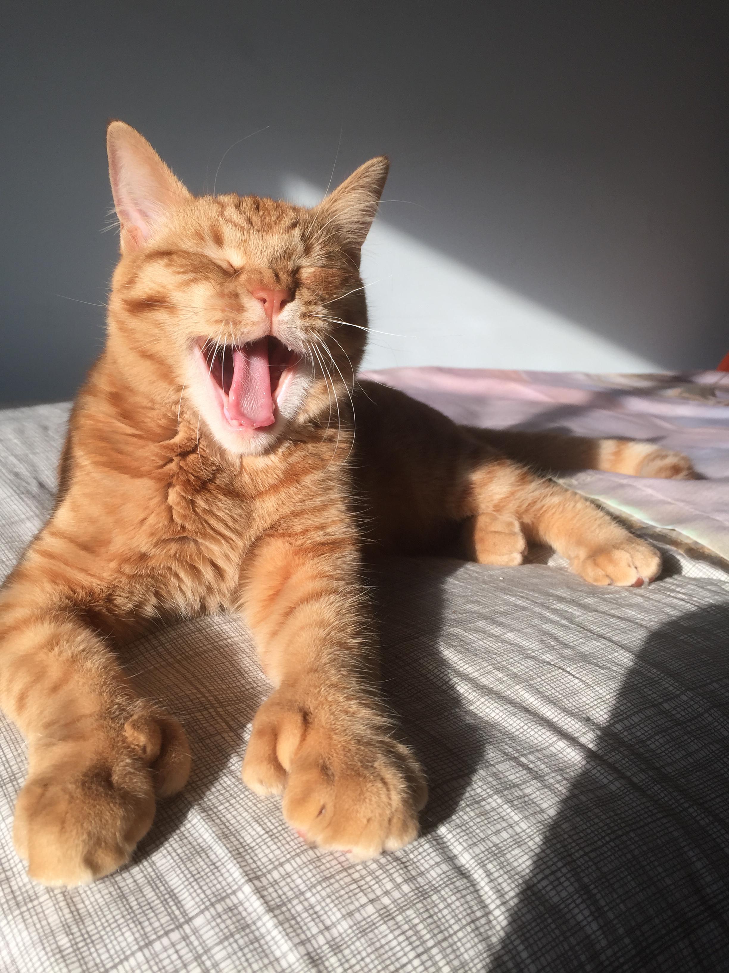 Little Red Lopez having a laugh | Scrolller