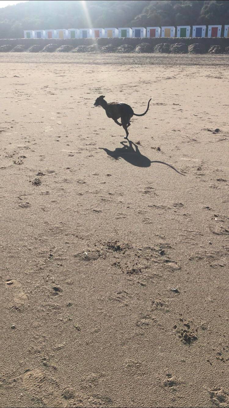 Livin’ her best kangaroo life 😍 | Scrolller