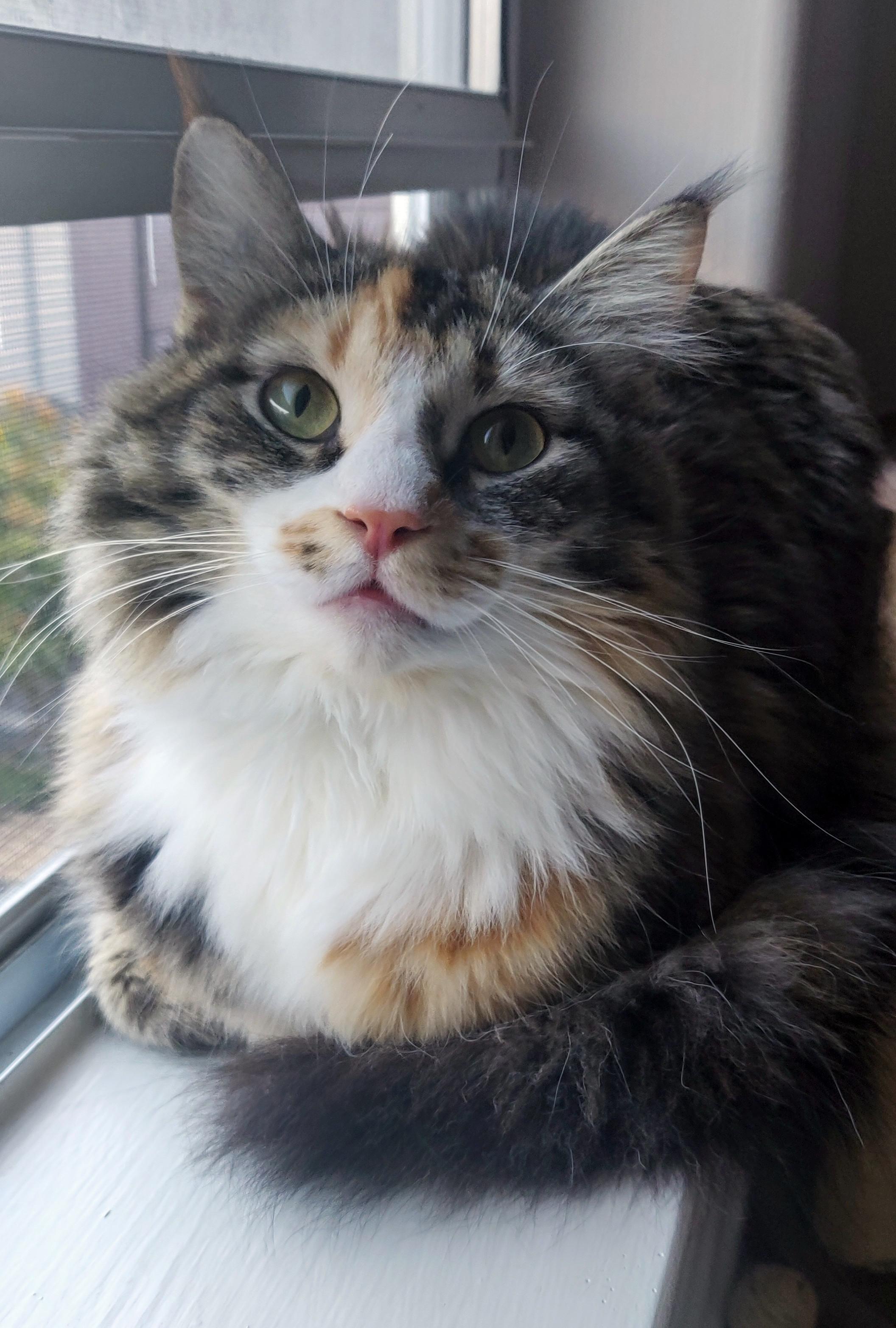 Loaf close up view | Scrolller