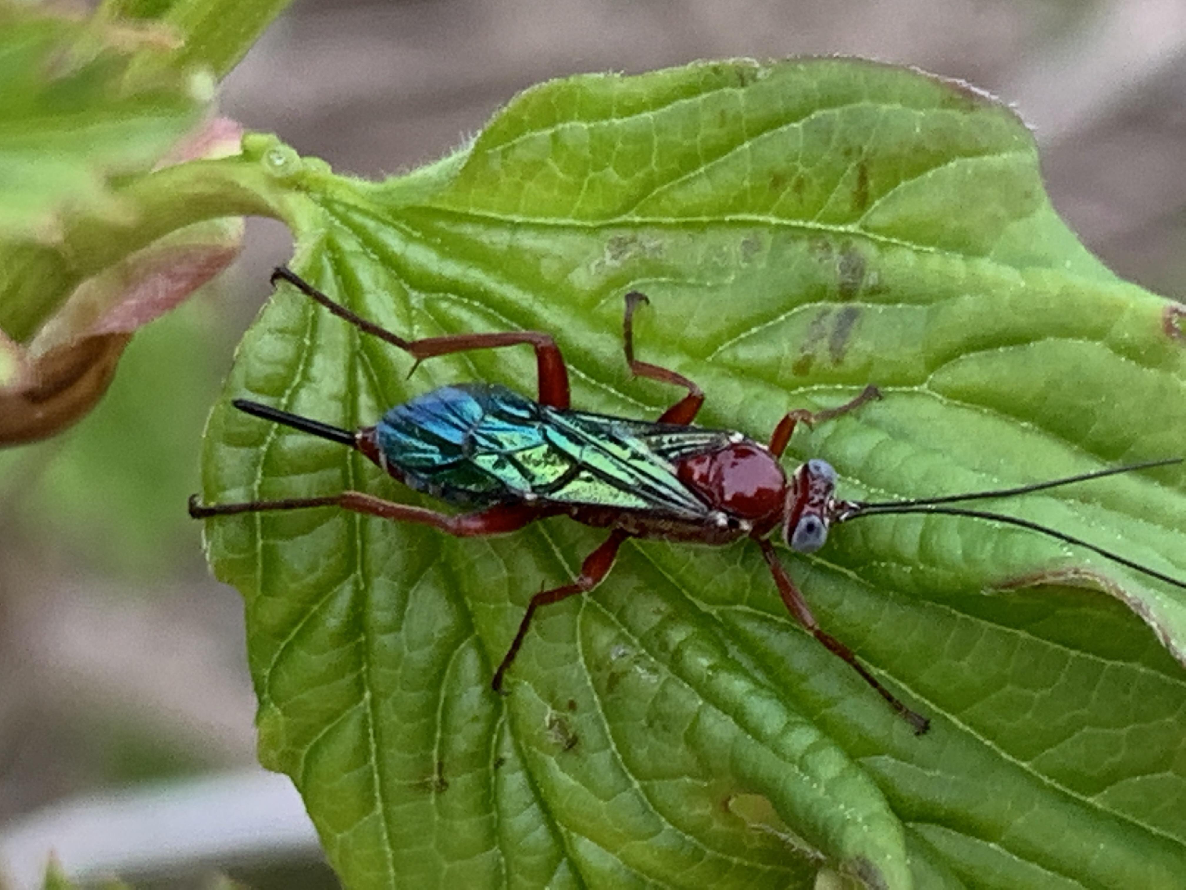 Location - southern Ontario. | Scrolller