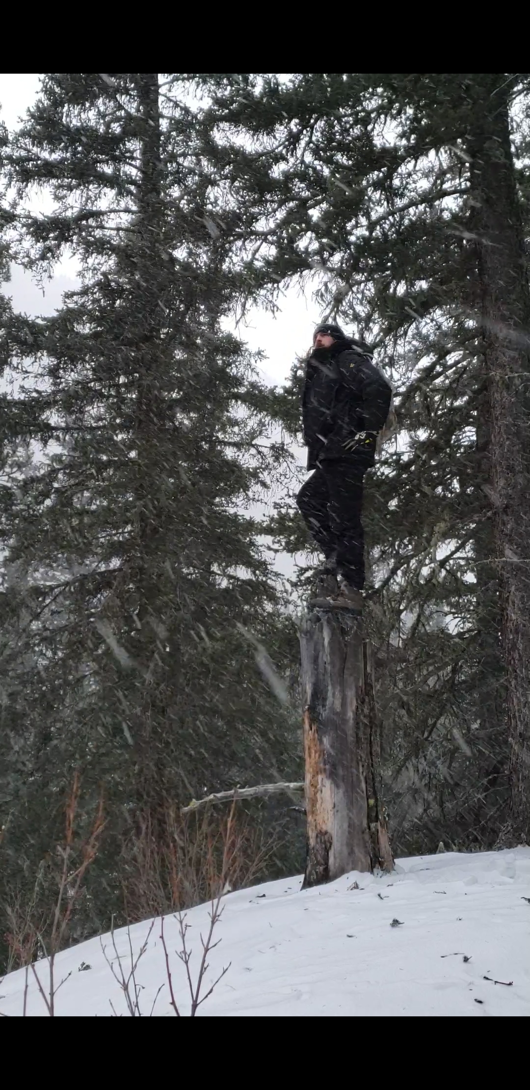 Lockdown? Pfft. | Scrolller