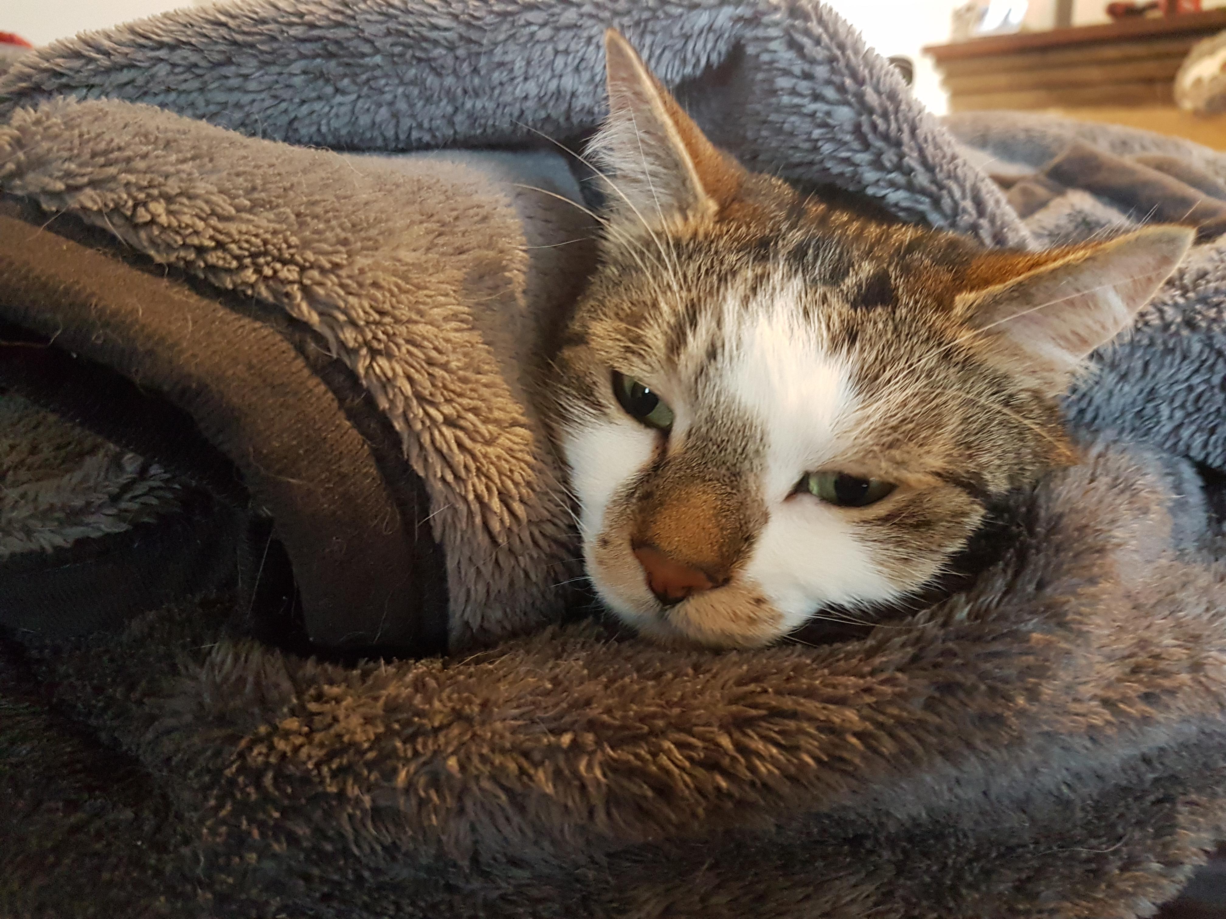 Locked down and raining outside | Scrolller