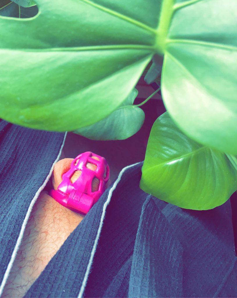 Locked plant boy | Scrolller