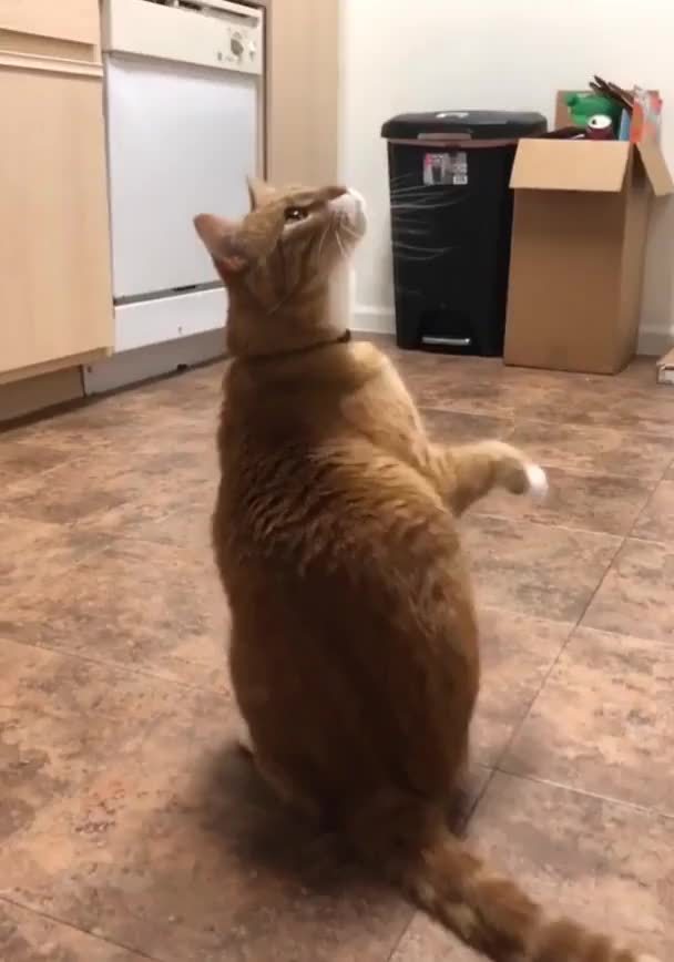 Lol so smart | Scrolller