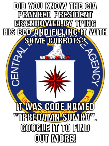 Lol the CIA were such epic pranksters | Scrolller