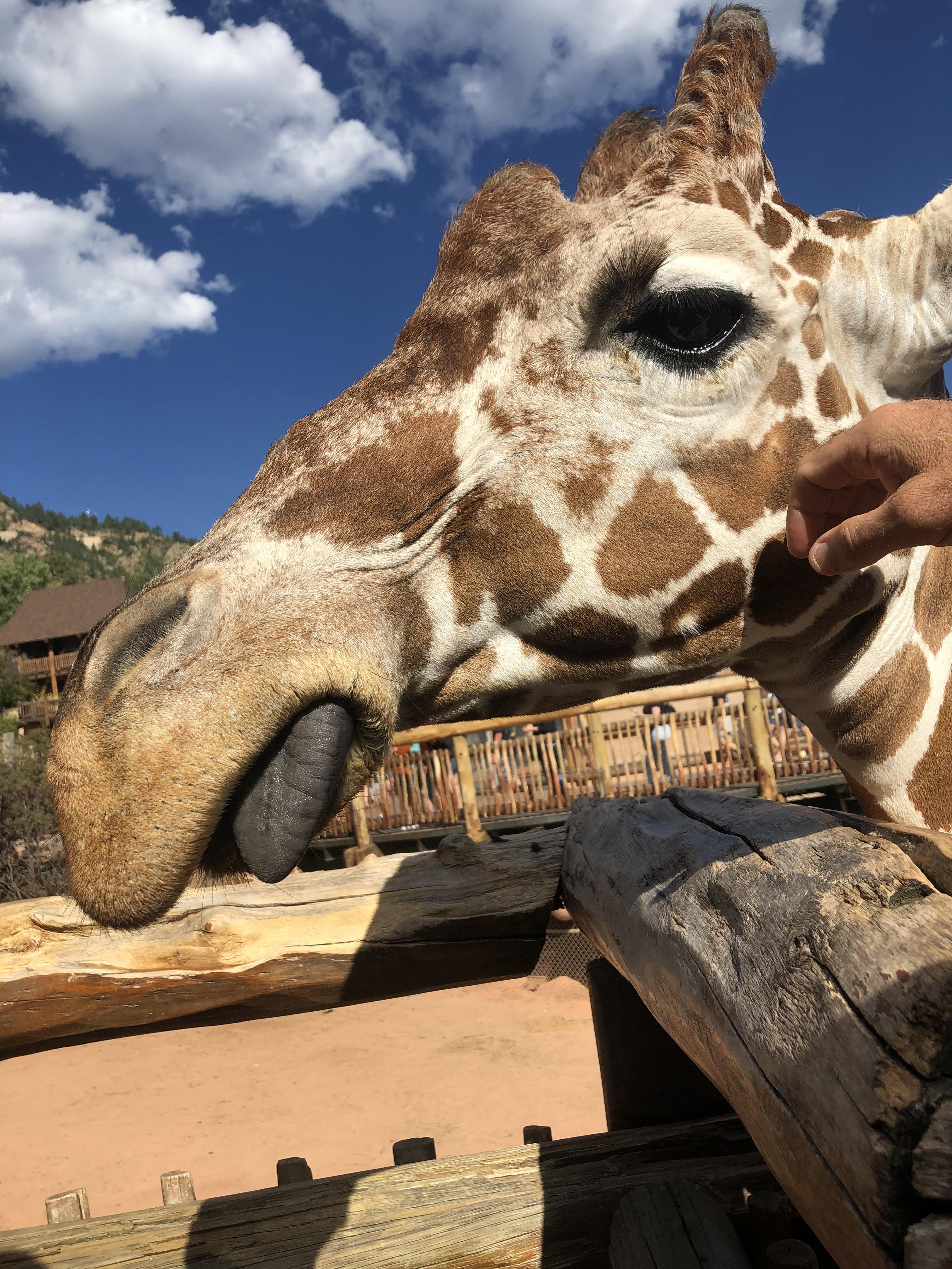 Long boi blup | Scrolller