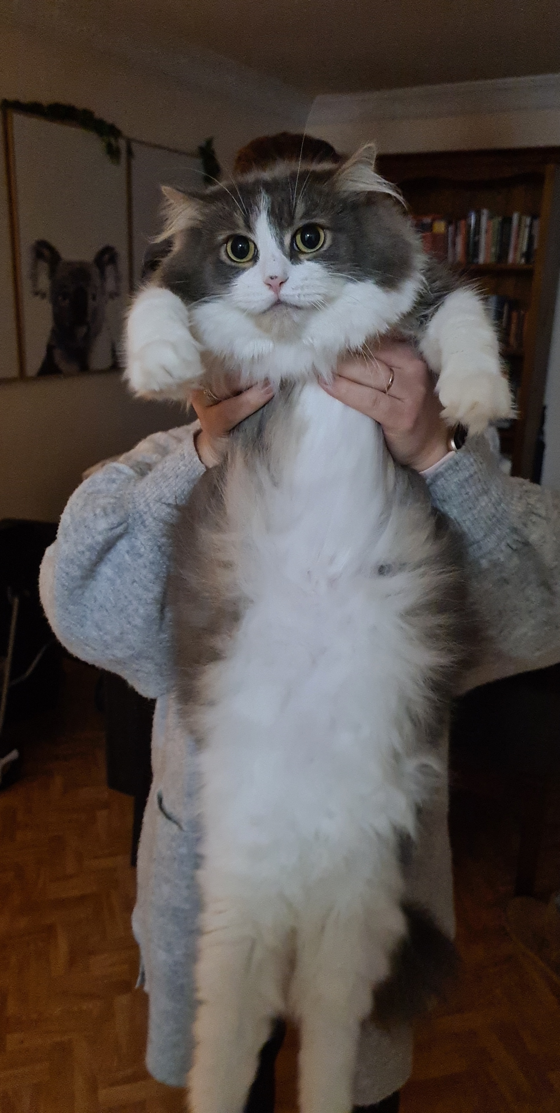 Long but chunky boy | Scrolller