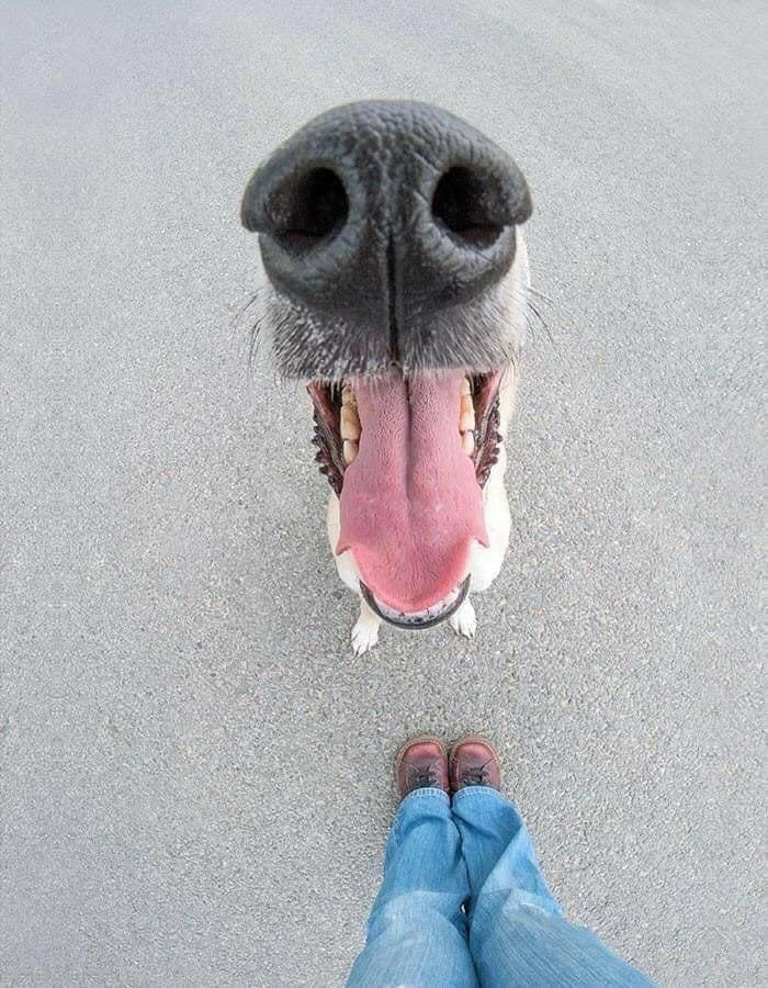 Long nose, long tongue | Scrolller