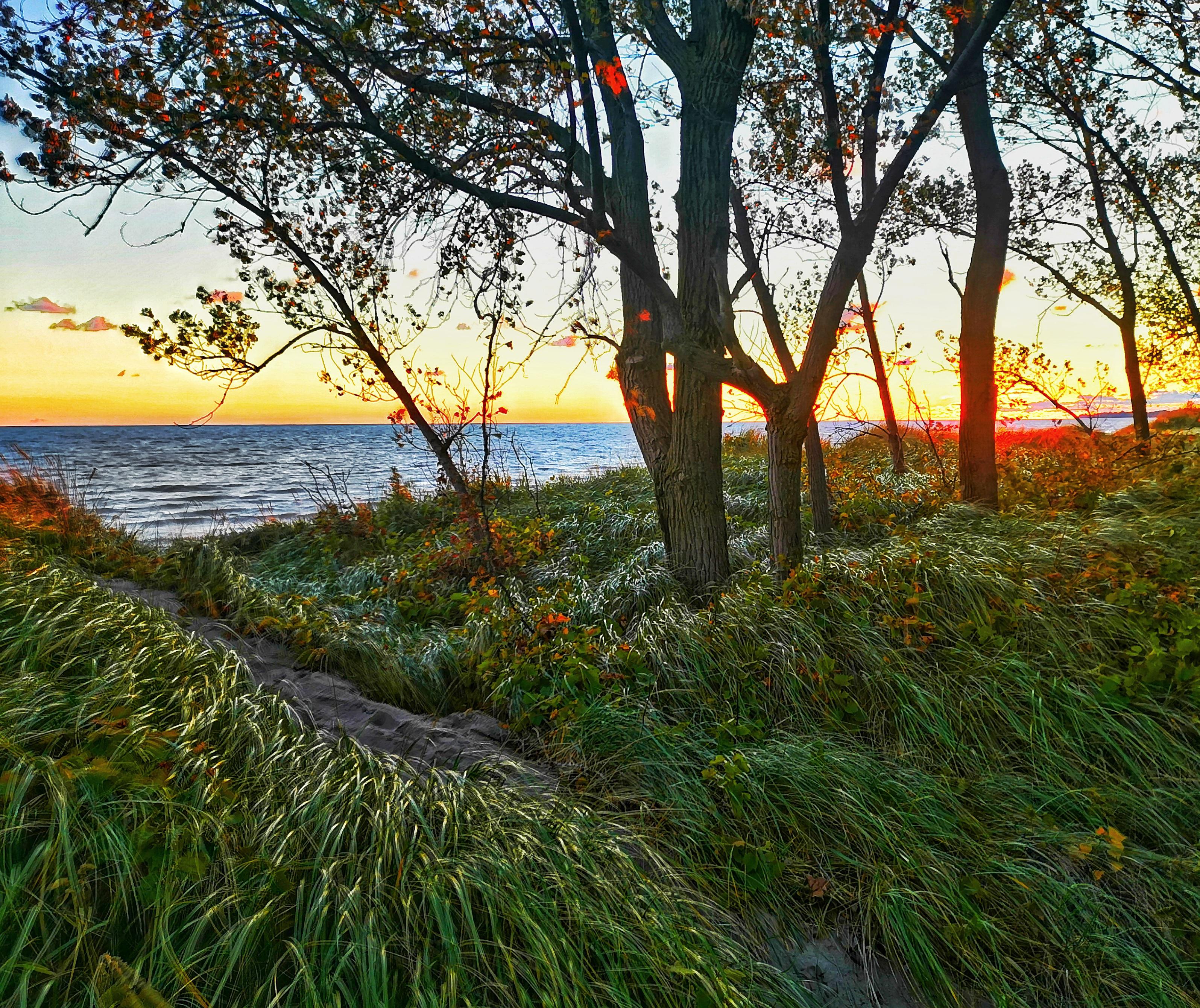 Long Point Provincial Park [Huawei Mate 20 Pro] | Scrolller