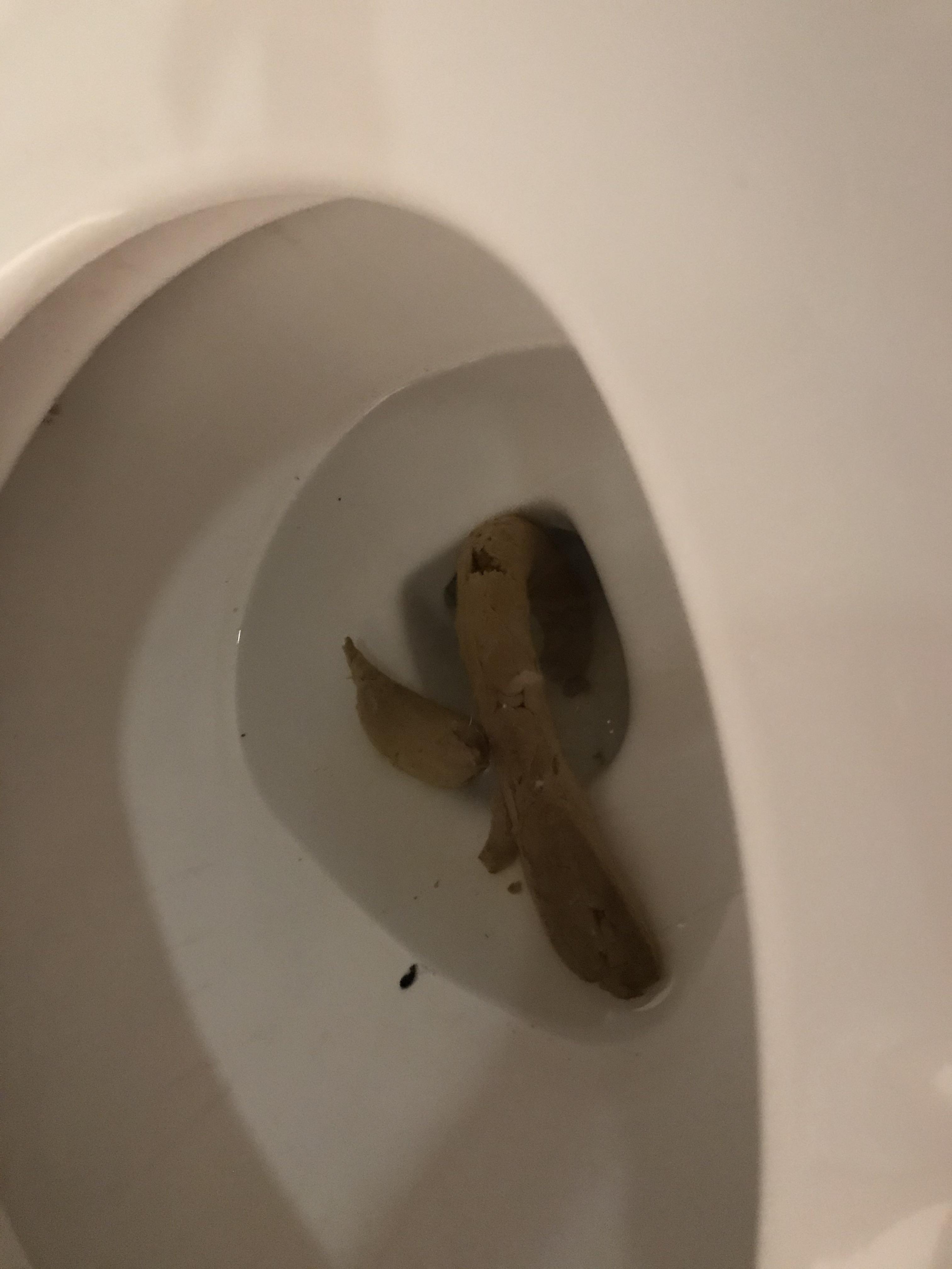 Long Shit | Scrolller